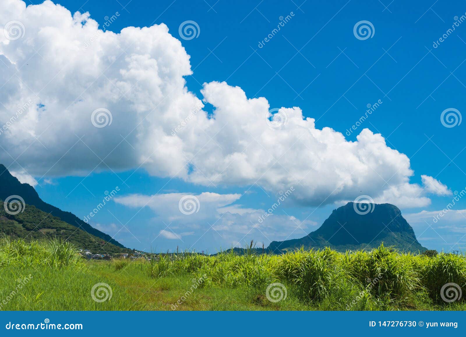 The Beautiful Natural Landscape of Mauritius Stock Photo - Image of ...