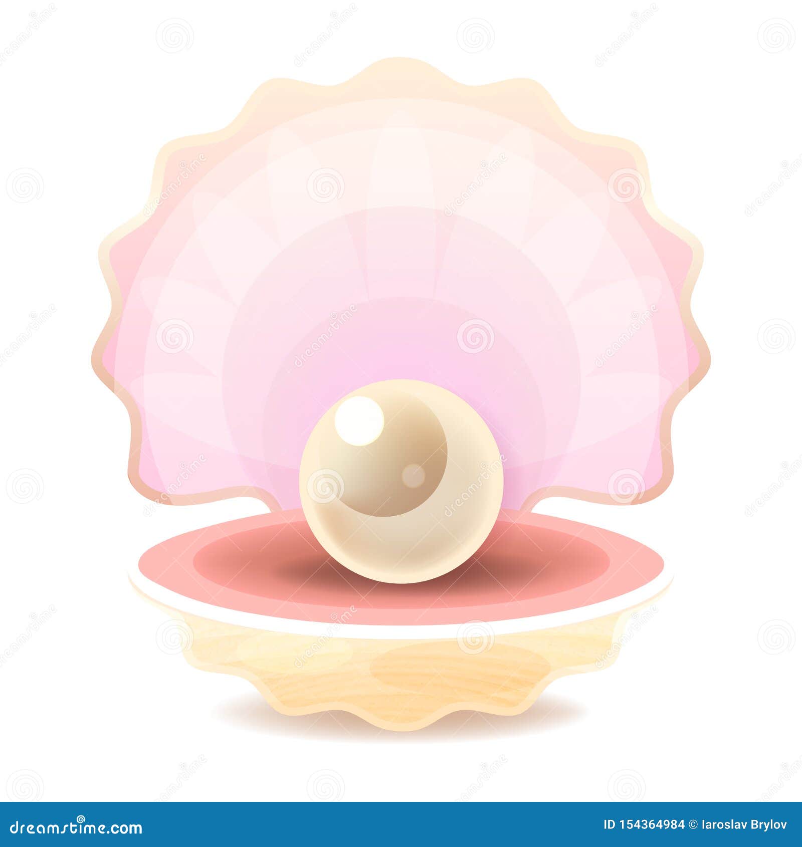 Beautiful Natural Open Pearl Shell Close Up Realistic Single Valuable ...