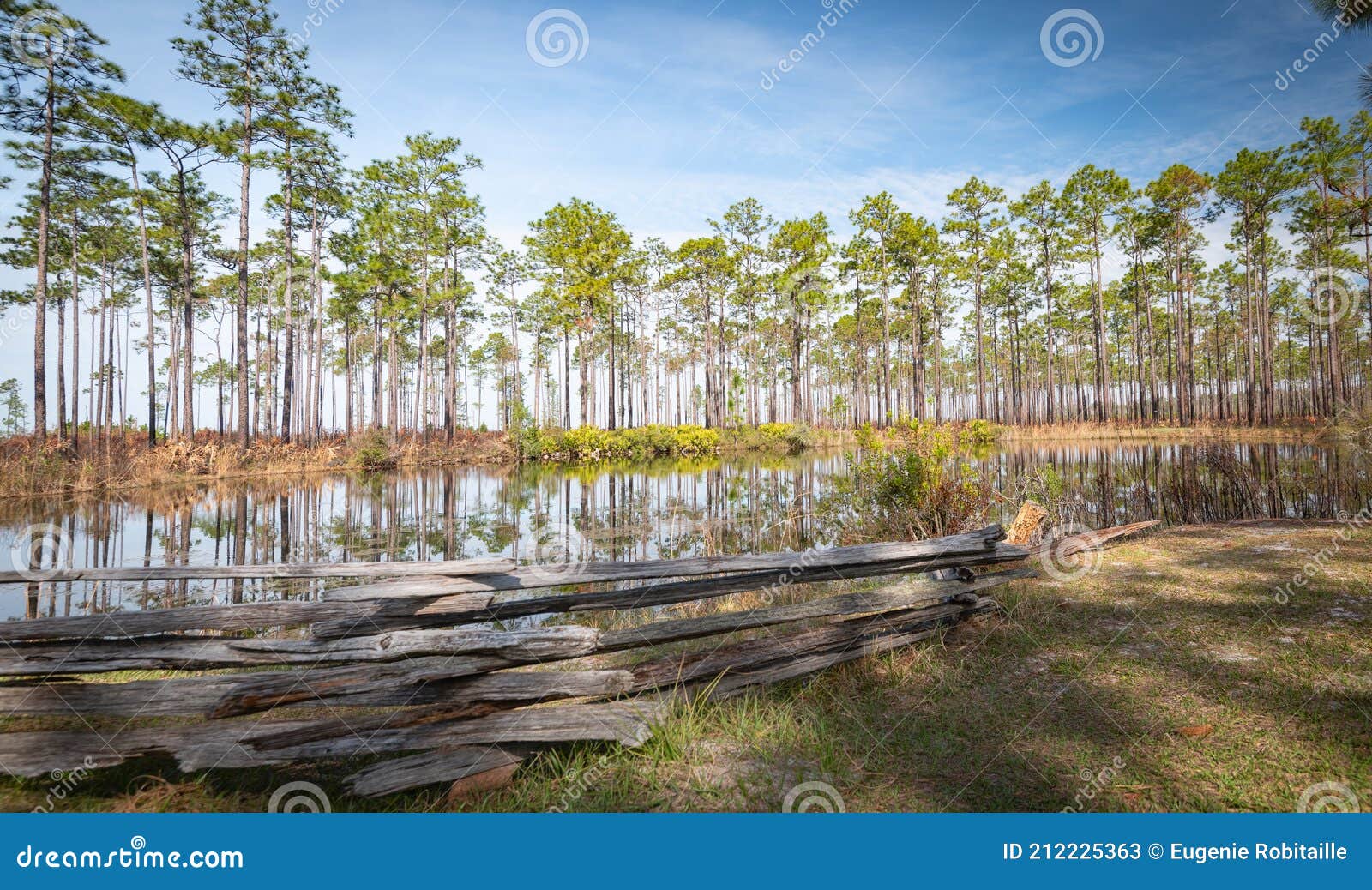 Beautiful and natural Park stock image. Image of outlook - 212225363