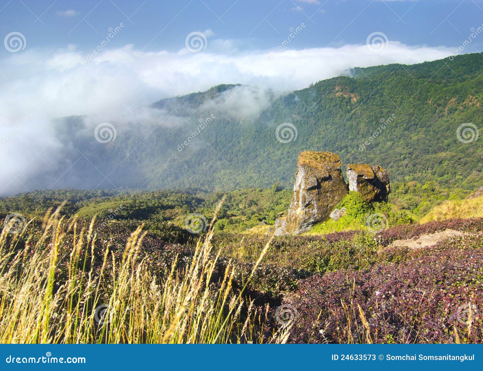 Beautiful Natural Rock on the Mountain Stock Image - Image of fresh ...