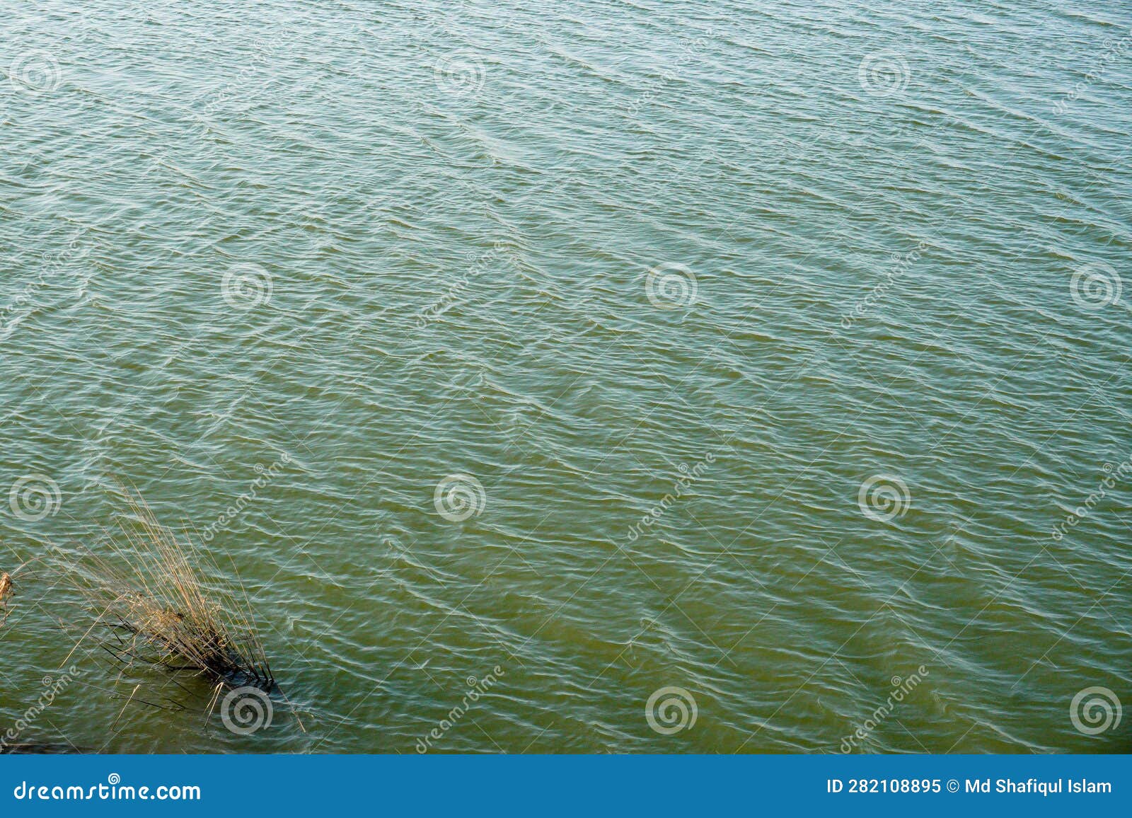 A Beautiful Natural Scene with Water Waves Stock Image - Image of ...