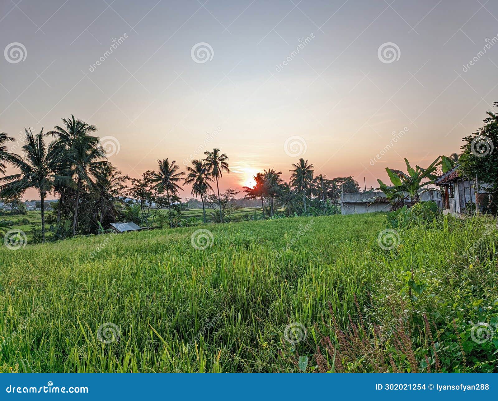 Beautiful Natural Scenery when Seeing the Sunrise in the Morning Stock ...