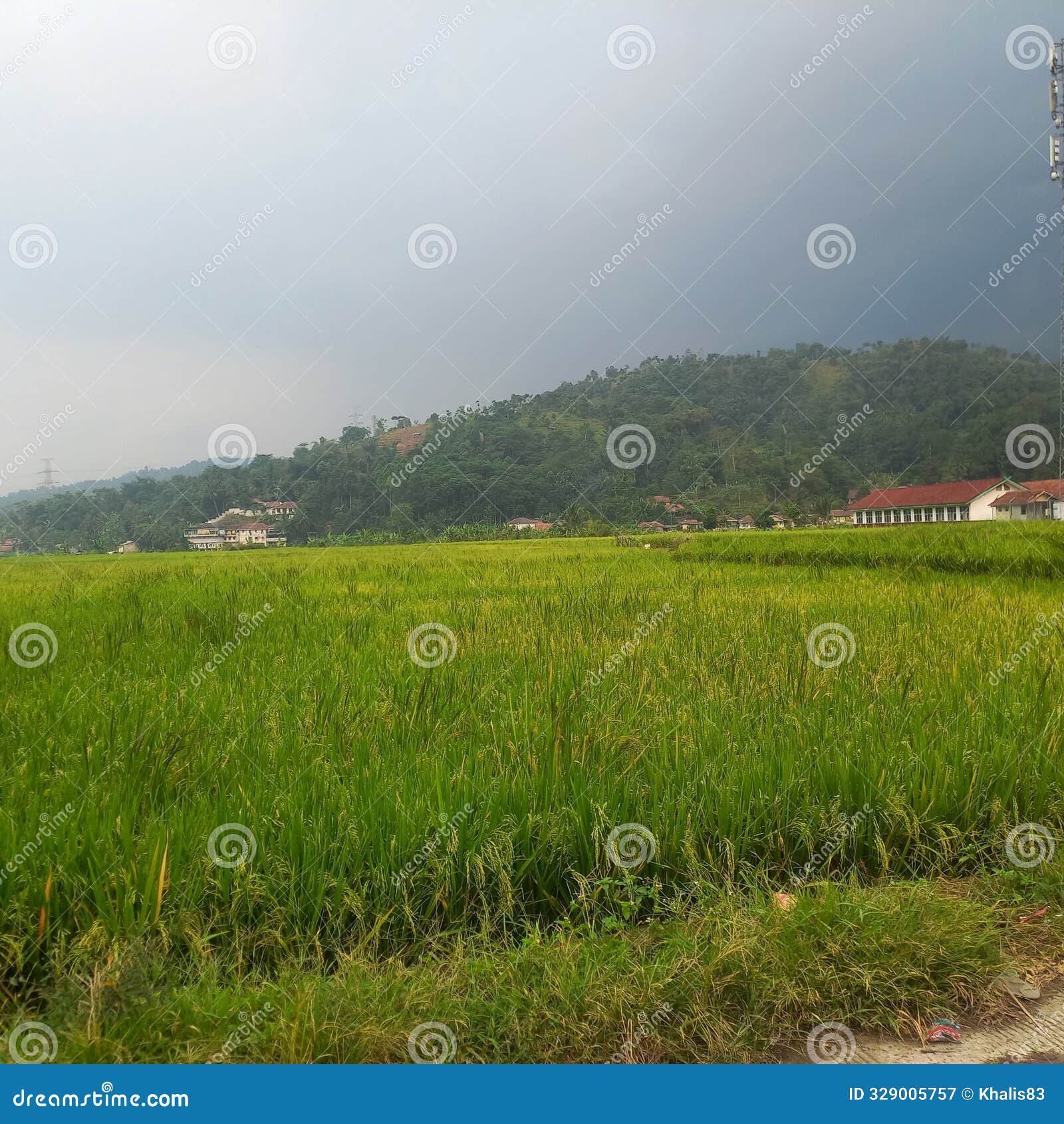 Beautiful Natural Scenery in a Village in the Afternoon Stock Image ...