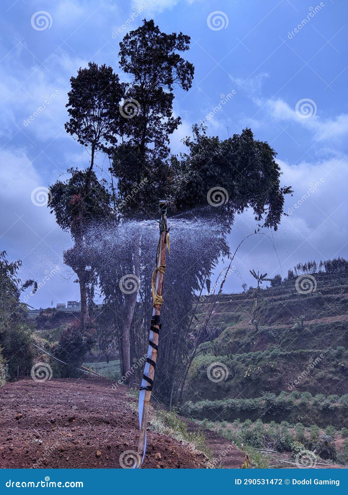 Trees Hehe Stock Photos - Free & Royalty-Free Stock Photos from Dreamstime