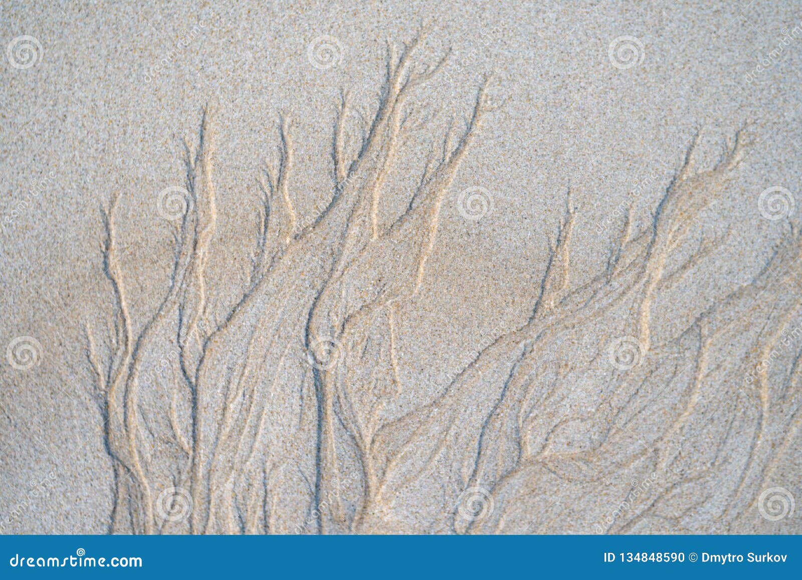 Sand pattern on the beach stock photo. Image of pattern - 134848590