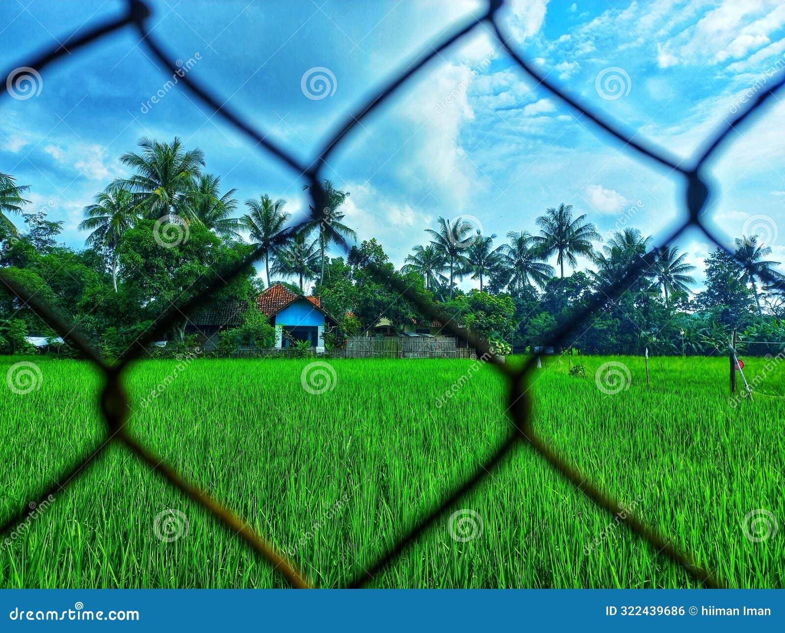 Beautiful Natural View Behind the Window Stock Photo - Image of natural ...
