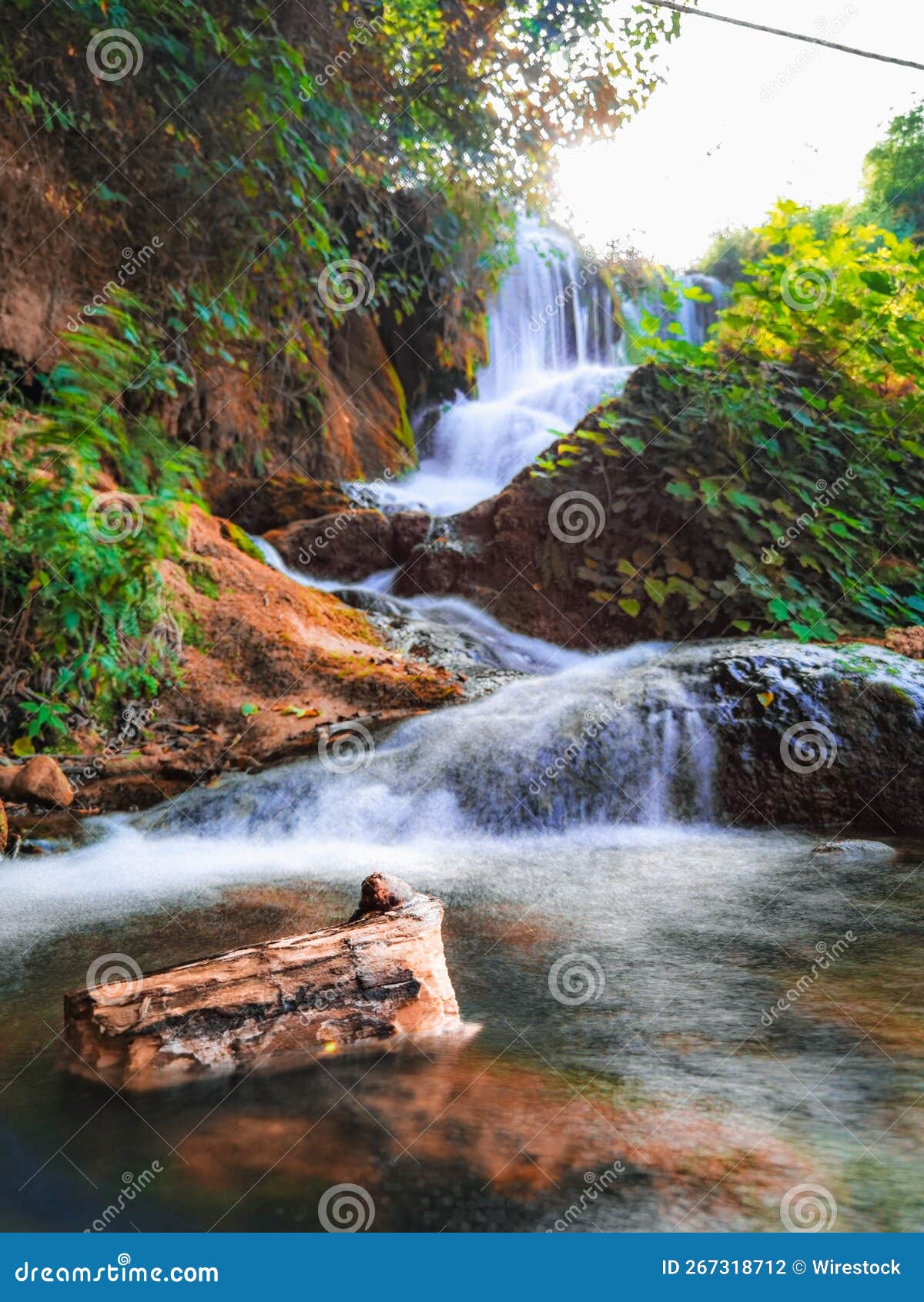 Beautiful Natural View of a Waterfall in the Forest Stock Photo - Image ...