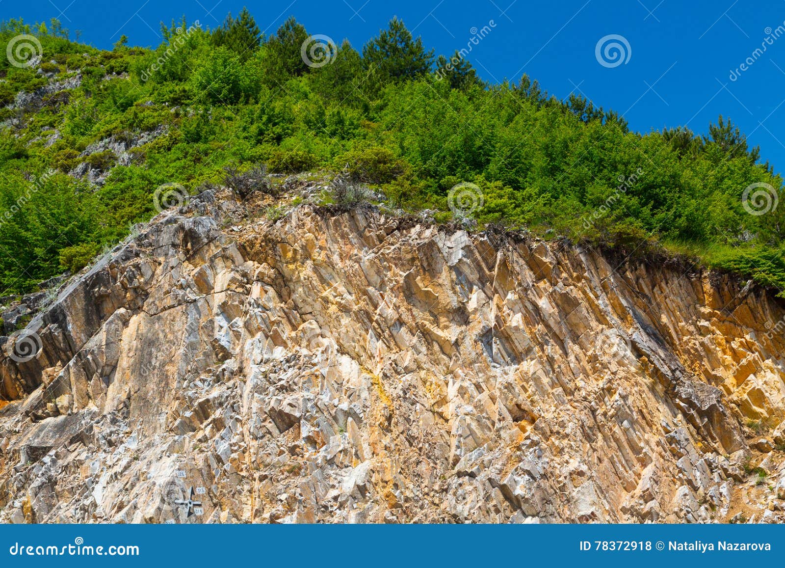 Beautiful Natural Wall of Rock and Trees Background Stock Photo - Image ...