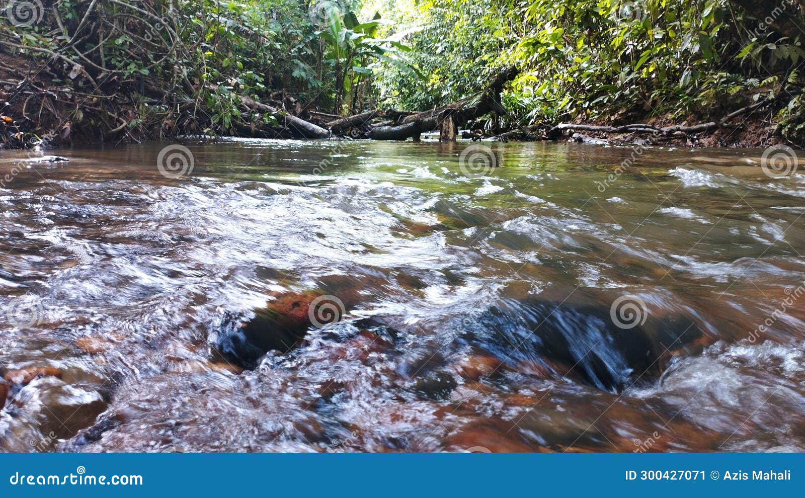 A Beautiful and Naturally Clean River Stock Image - Image of naturally ...