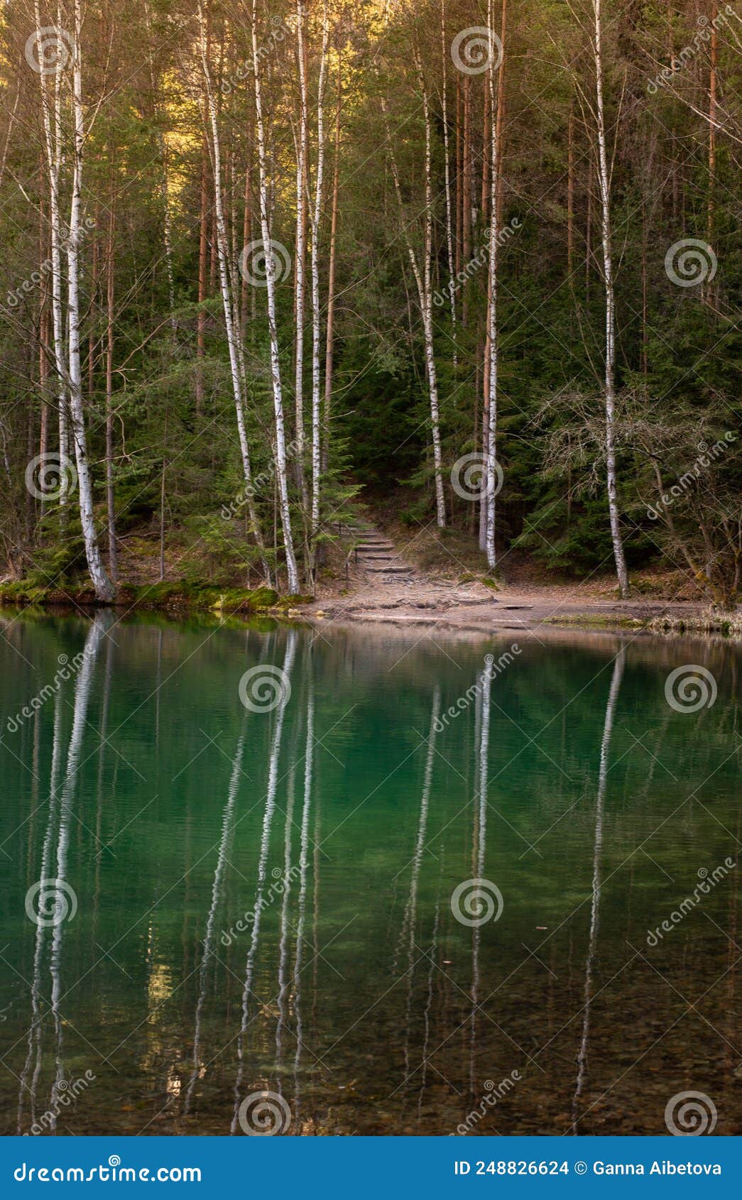 Beautiful Nature of Adrspach-Teplice Rocks. National Park of Adrspach ... Beautiful Nature of Adrspach-Teplice Rocks. National Park of Adrspach ...