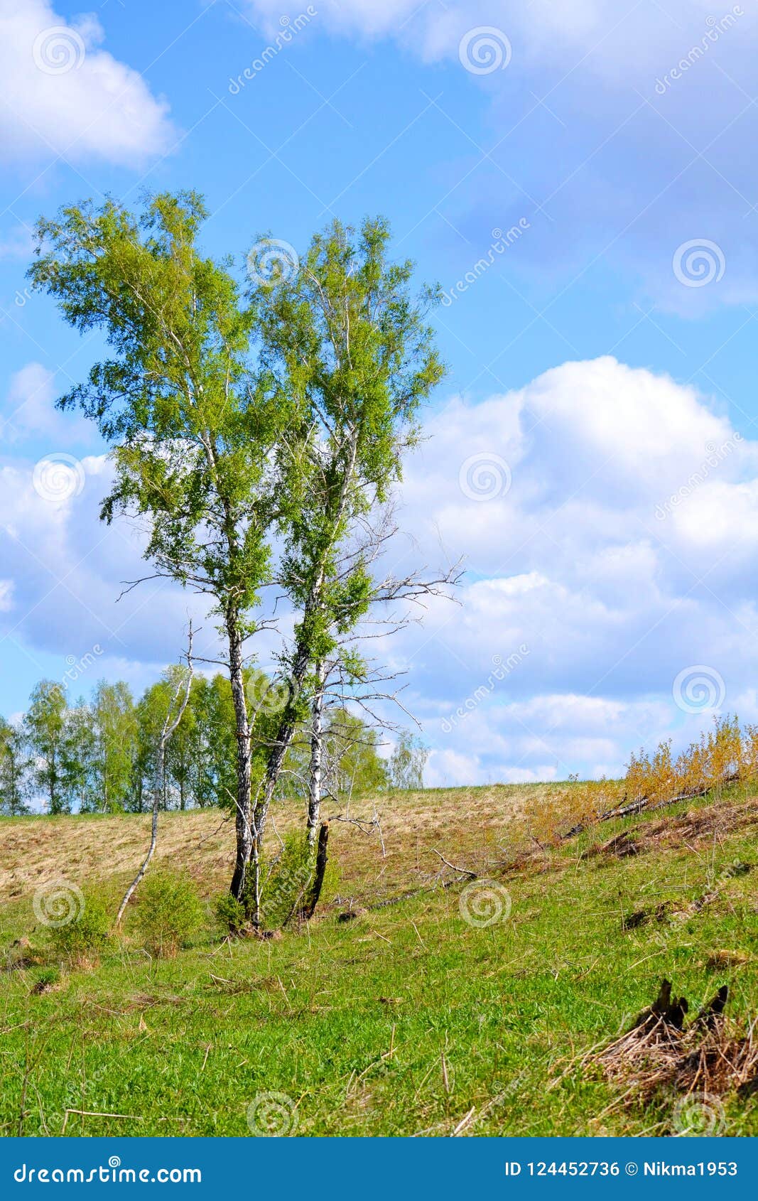 Beautiful nature Altaya stock photo. Image of puddle - 124452736