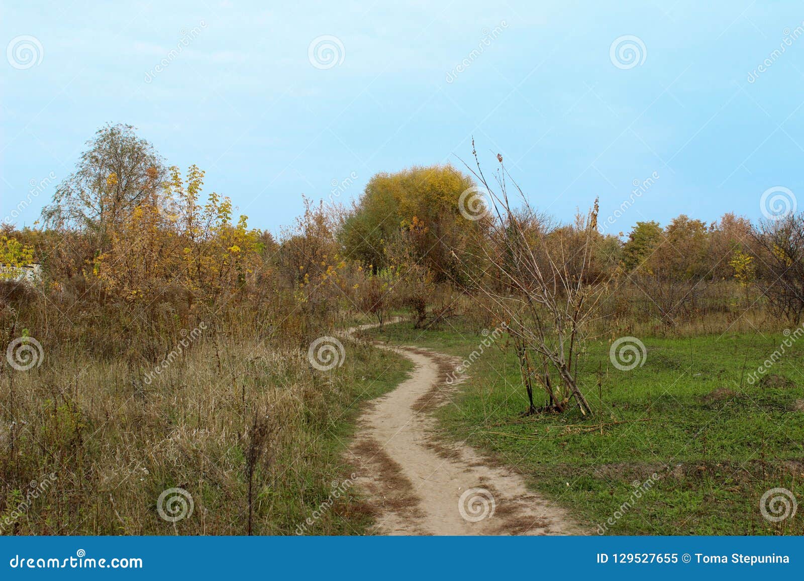 Fields and Meadows Concept. Stock Image - Image of summer, season ...