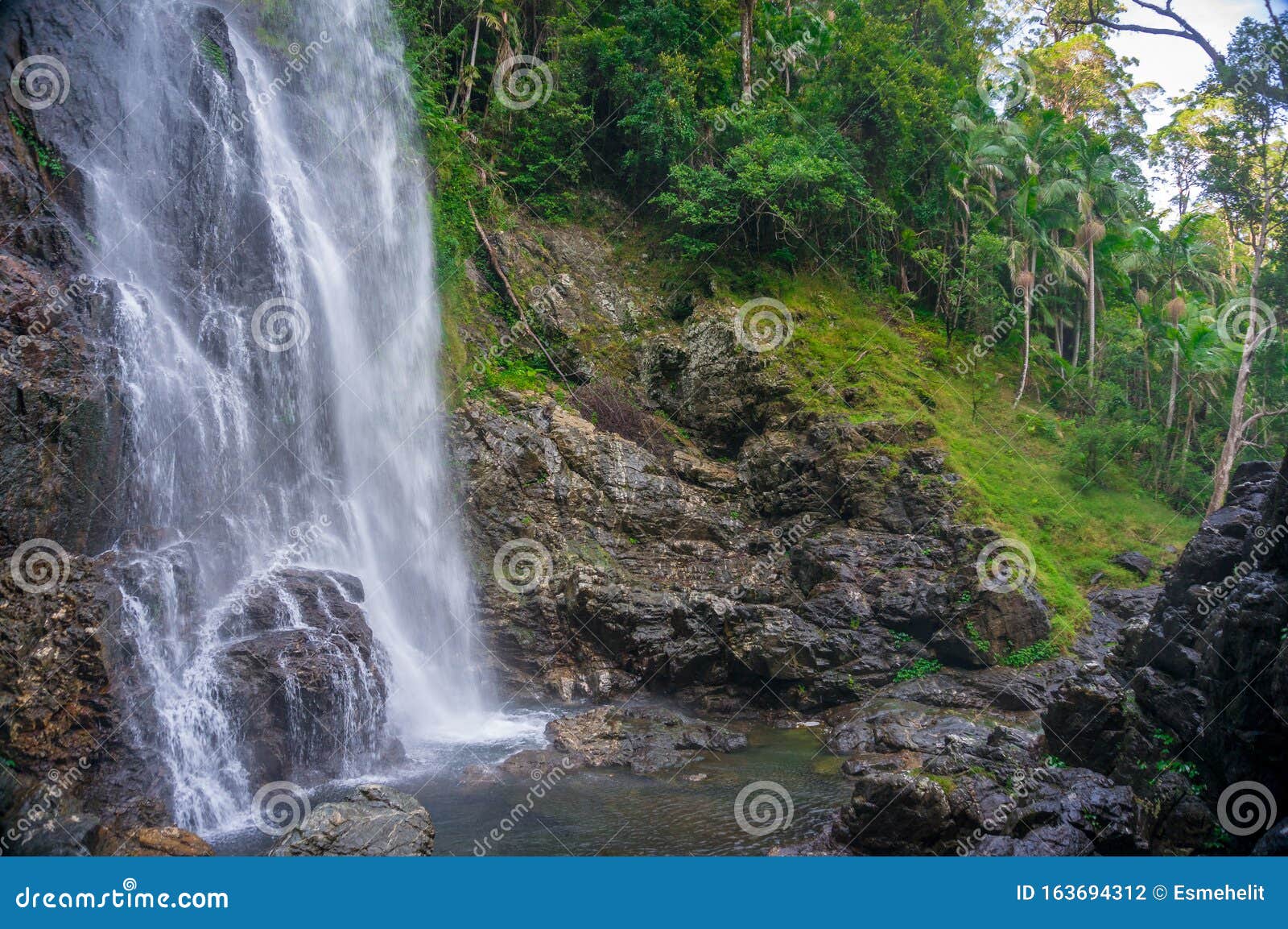 Waterfall With Palm Trees Stock Photography | CartoonDealer.com #102724010