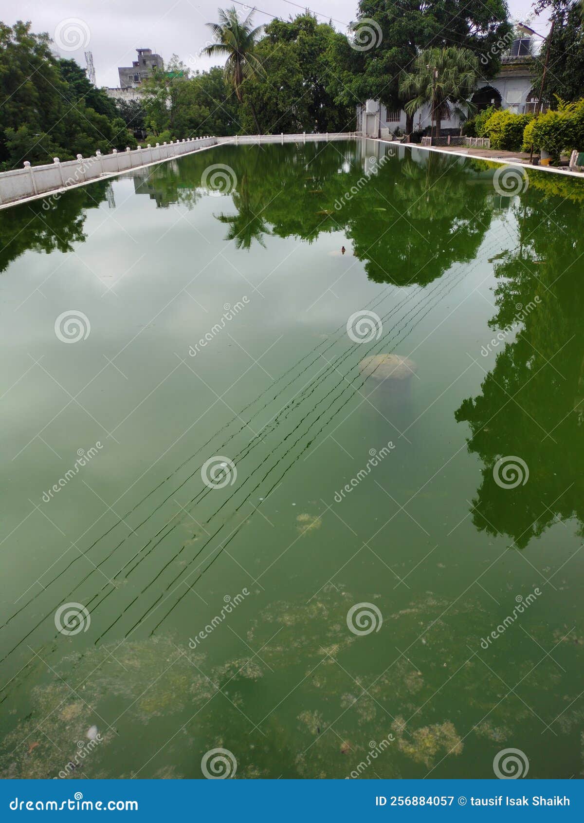 Beautiful Nature Background. Beautiful Water Background.. Green Water ...