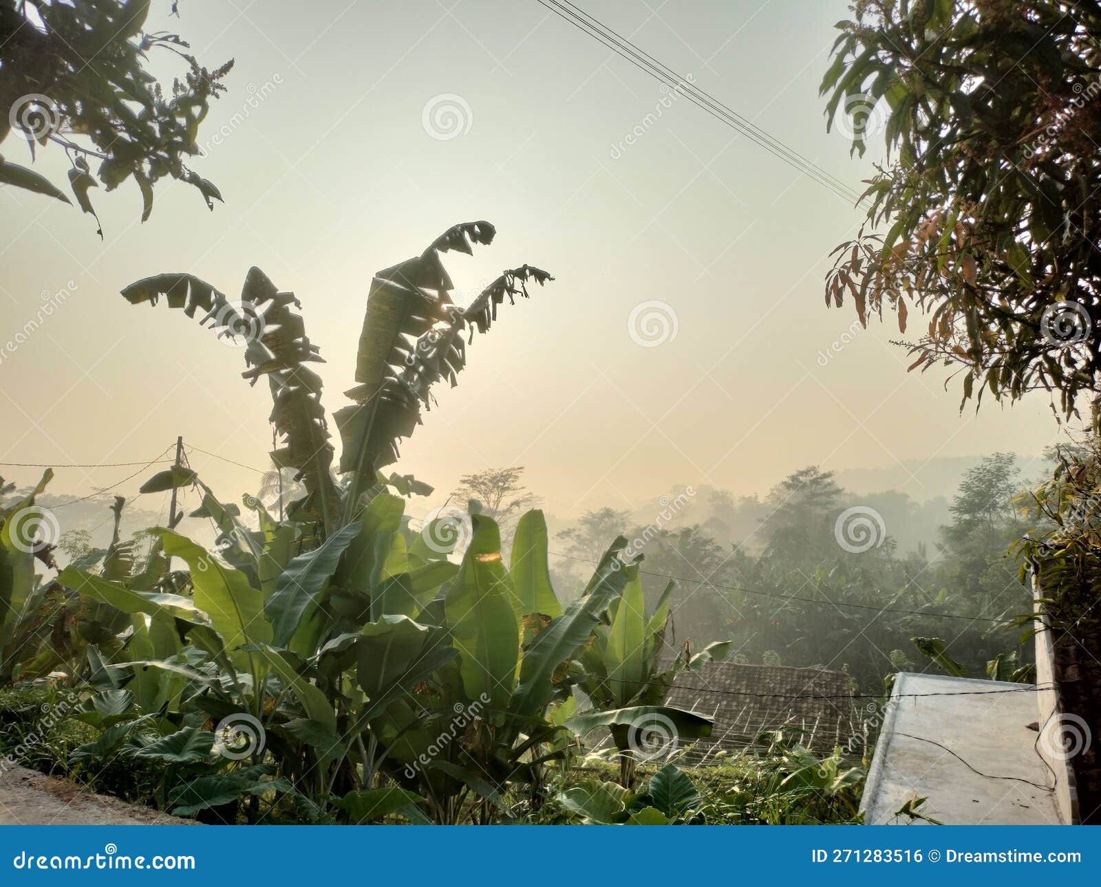 The Beautiful Nature of Bandung, Indonesia Stock Photo - Image of ...