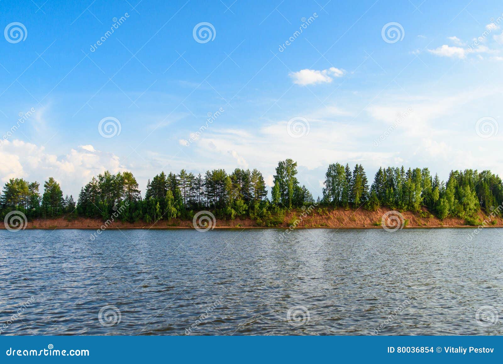 Beautiful Nature from the Boat in Motion. Vibrant River and Forest ...