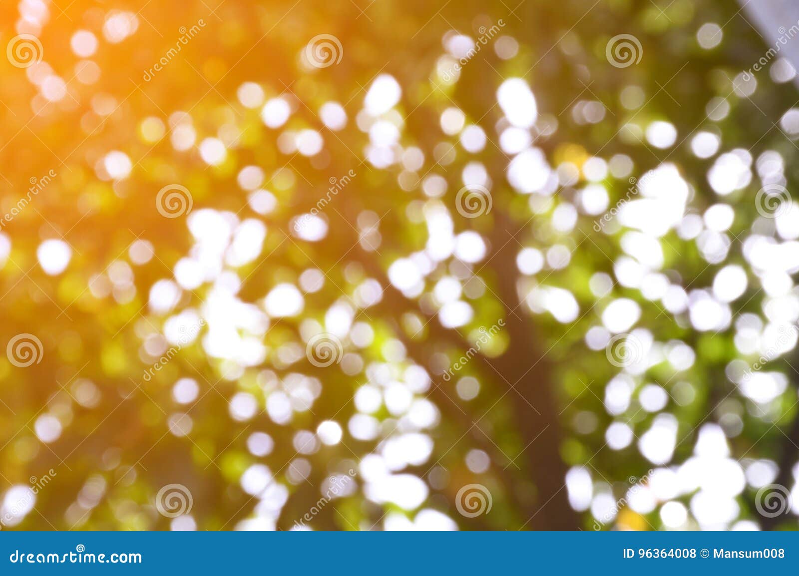 Beautiful Nature Bokeh Background Stock Photo - Image of green, light ... Beautiful Nature Bokeh Background Stock Photo - Image of green, light ...