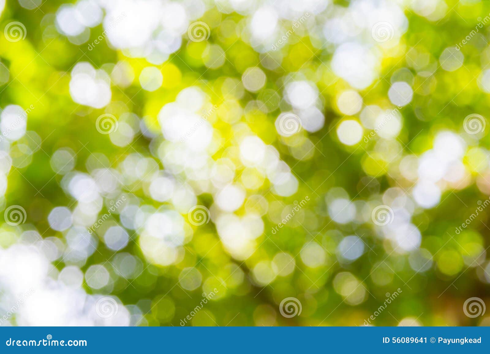 Beautiful Nature Bokeh stock image. Image of season, texture - 56089641