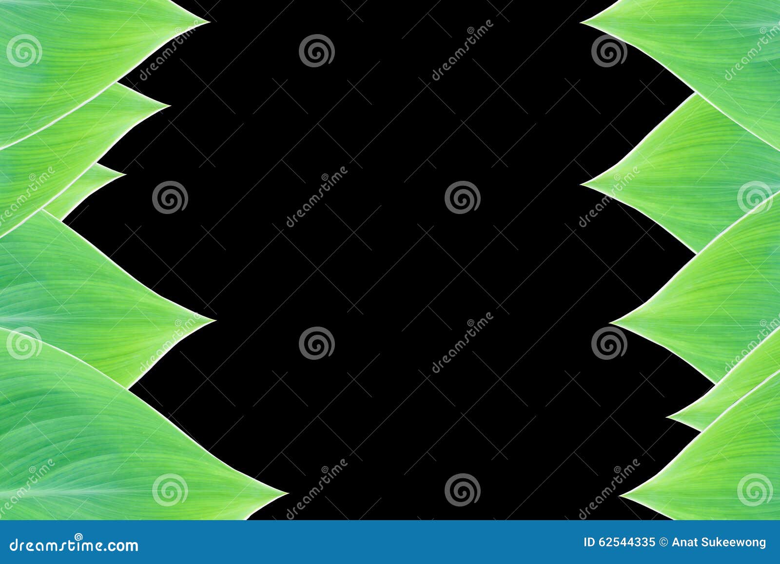 Beautiful Nature Border Frame from Green Leaves Stock Image - Image of ...