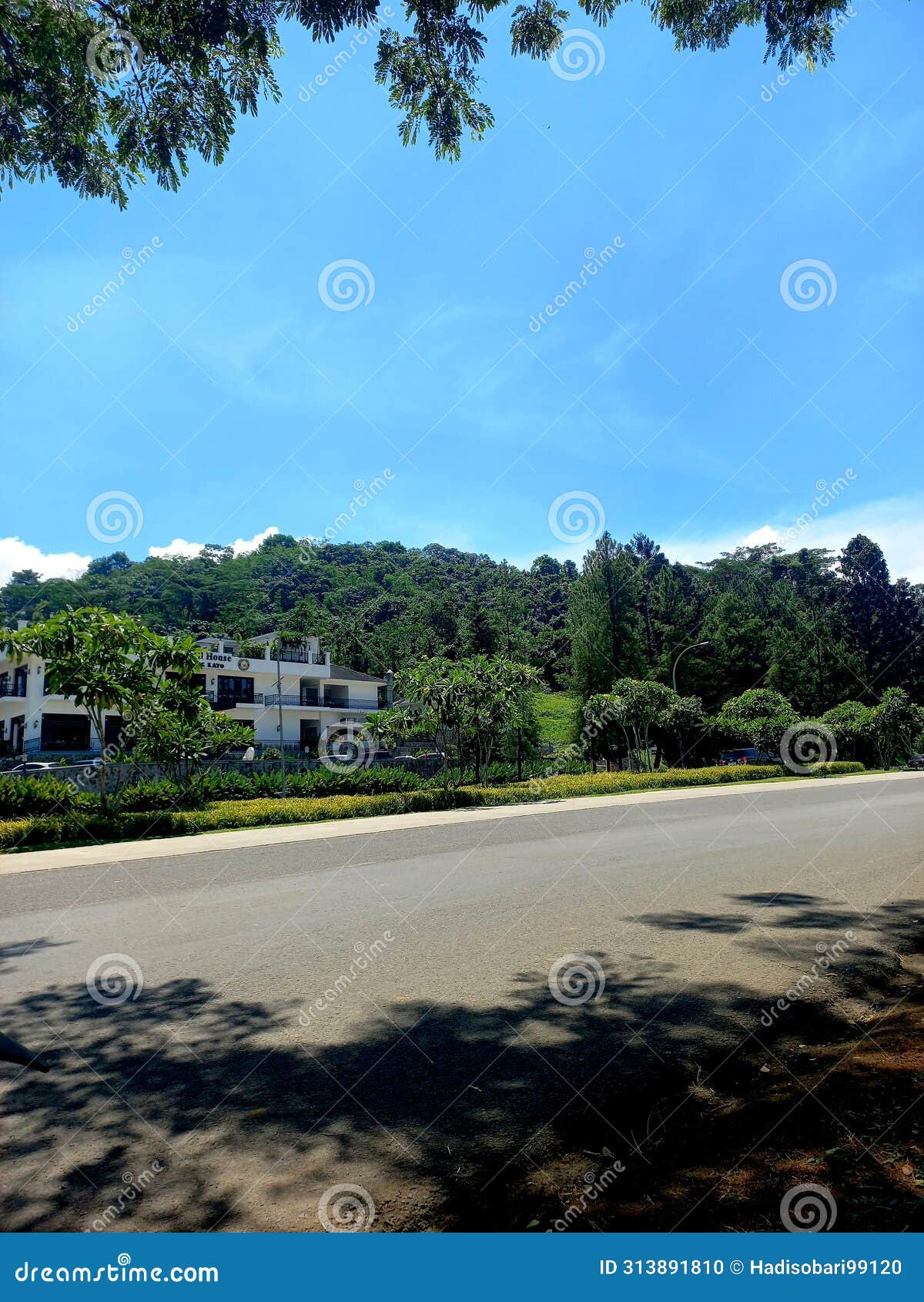 Beautiful Nature in the City of Bogor Sentul Editorial Image - Image of ...