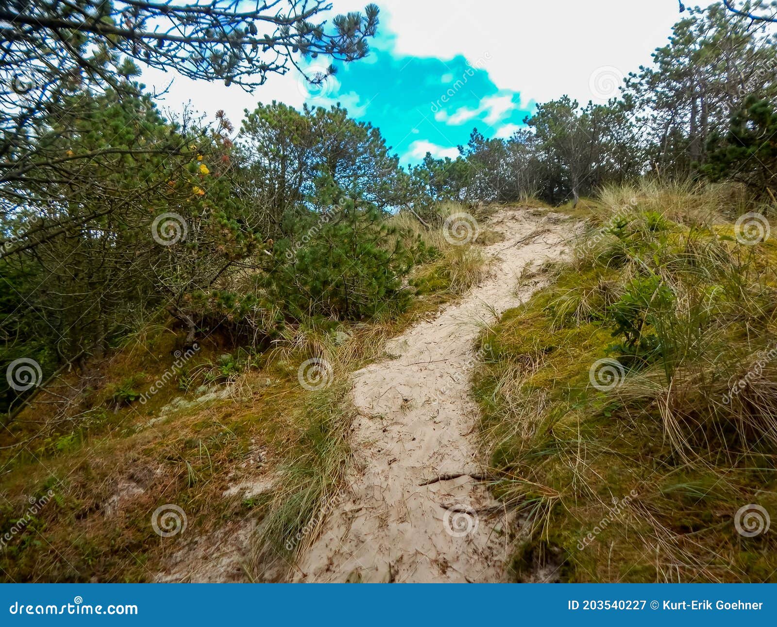 Beautiful Nature in Denmark Stock Image - Image of hill, trail: 203540227