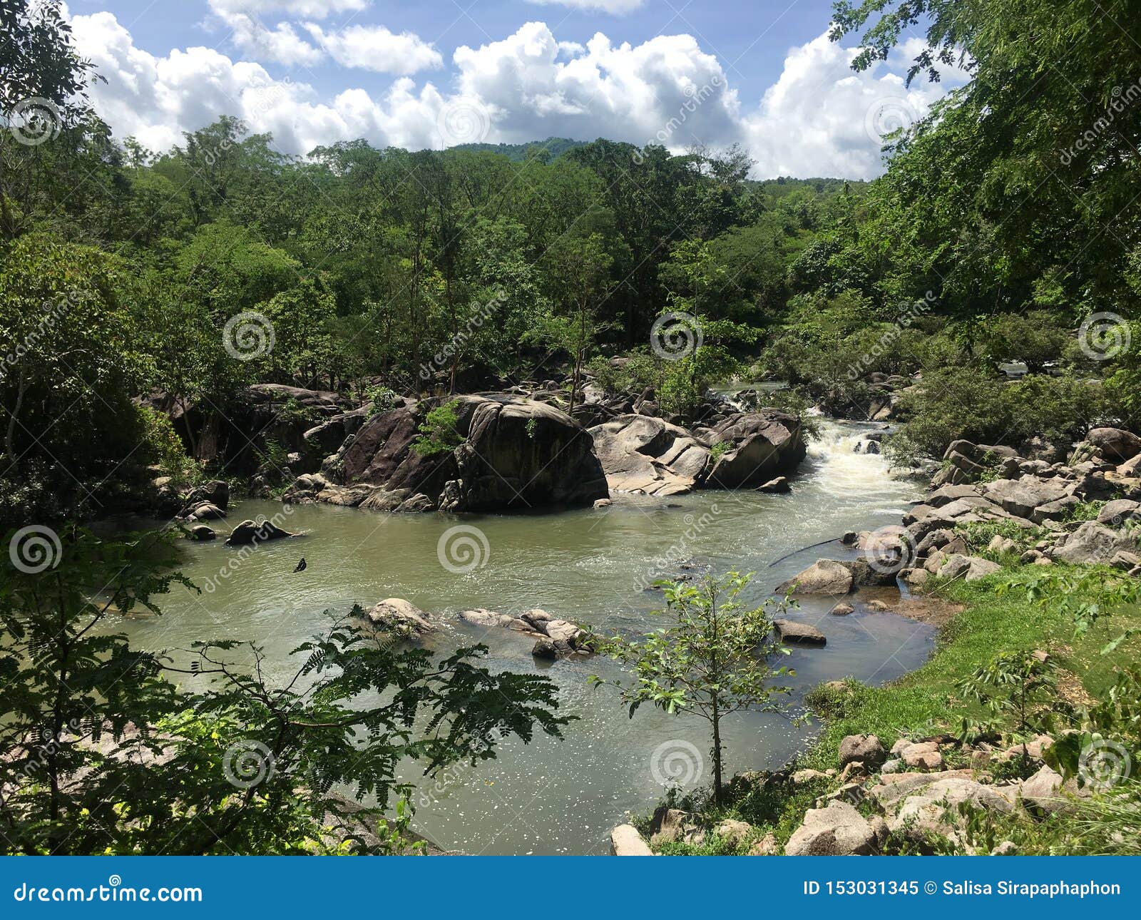 Gang som maew stock image. Image of maew, gang, nature - 153031345