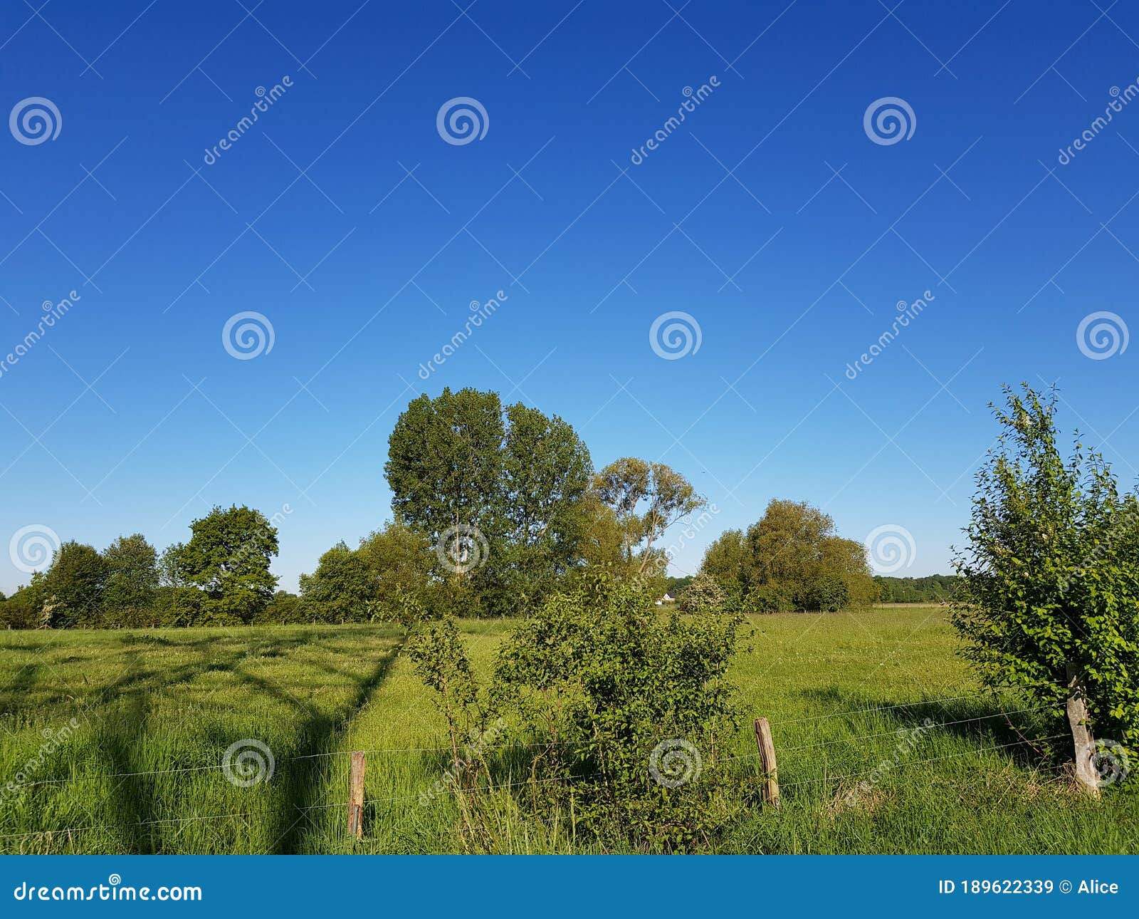 The Beautiful Nature of German Stock Image - Image of german, nature ...