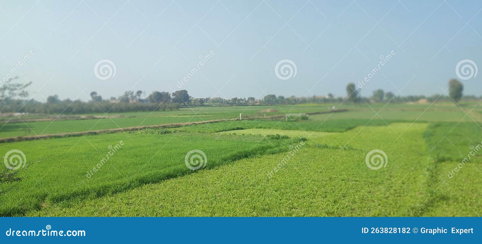 Beautiful Nature Green Fields Landscape Scene Stock Photo - Image of ...