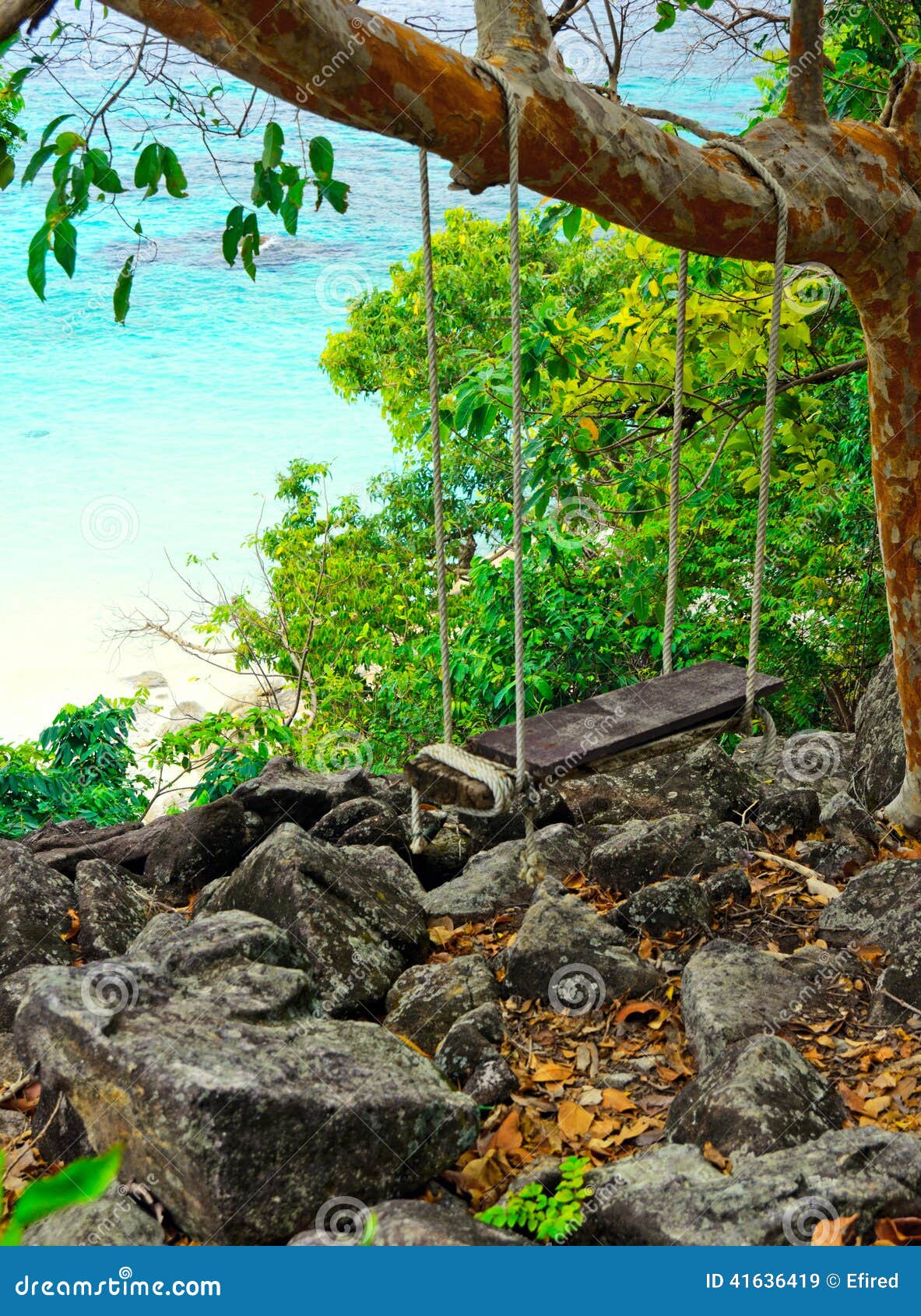 Green Jungle on Beach Background Stock Image - Image of jungle, shore ...