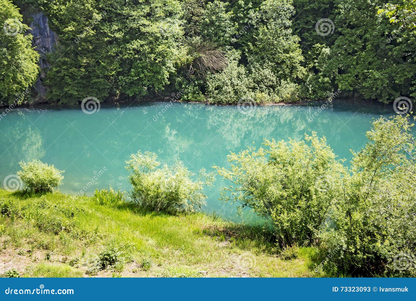 Beautiful Nature and Green River Stock Image - Image of environment ...
