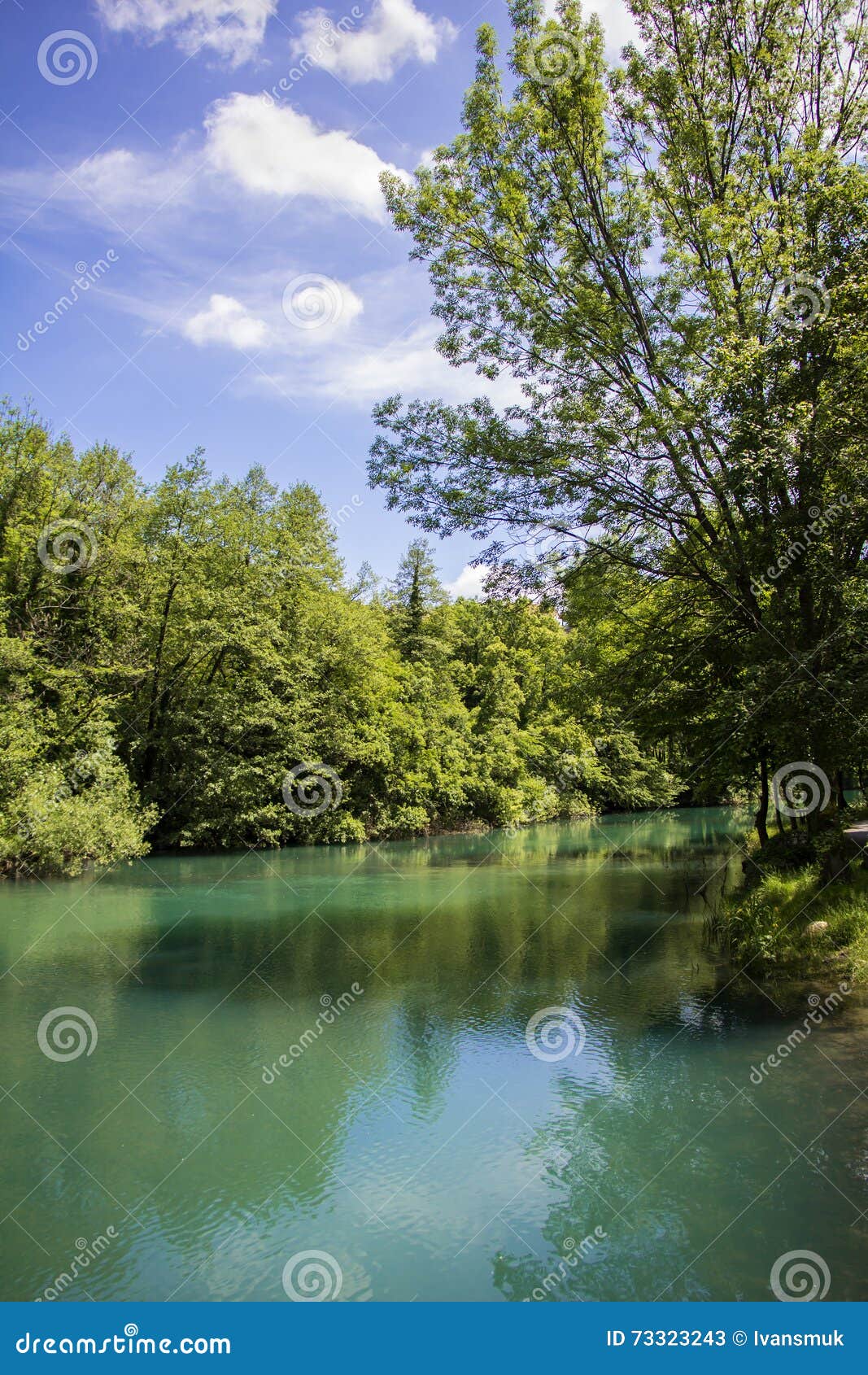 Beautiful Nature and Green River Stock Image - Image of holiday, aqua ...