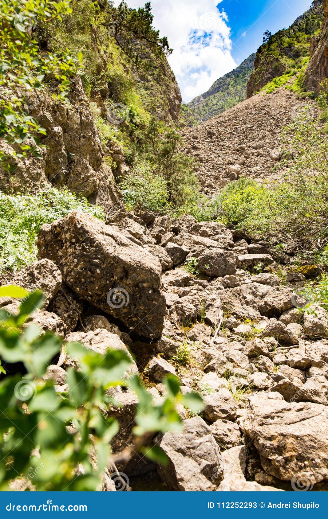 Beautiful Nature in the Himalayas in Spring Stock Image - Image of ...