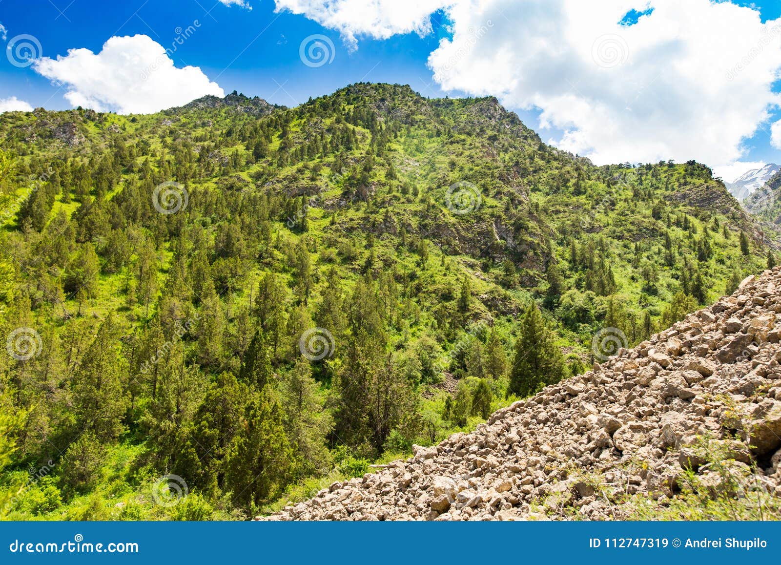 Beautiful Nature in the Himalayas in Spring Stock Image - Image of ...