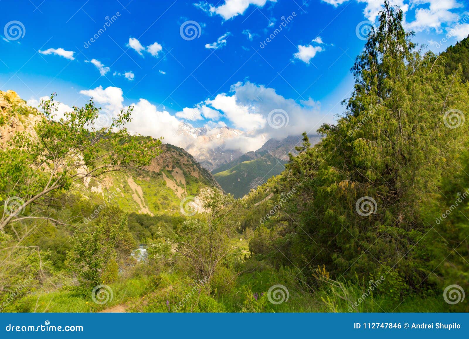 Beautiful Nature in the Himalayas in Spring Stock Photo - Image of ...