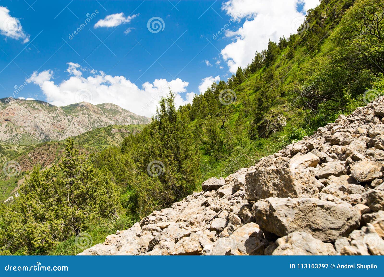 Beautiful Nature in the Himalayas in Spring Stock Image - Image of ...