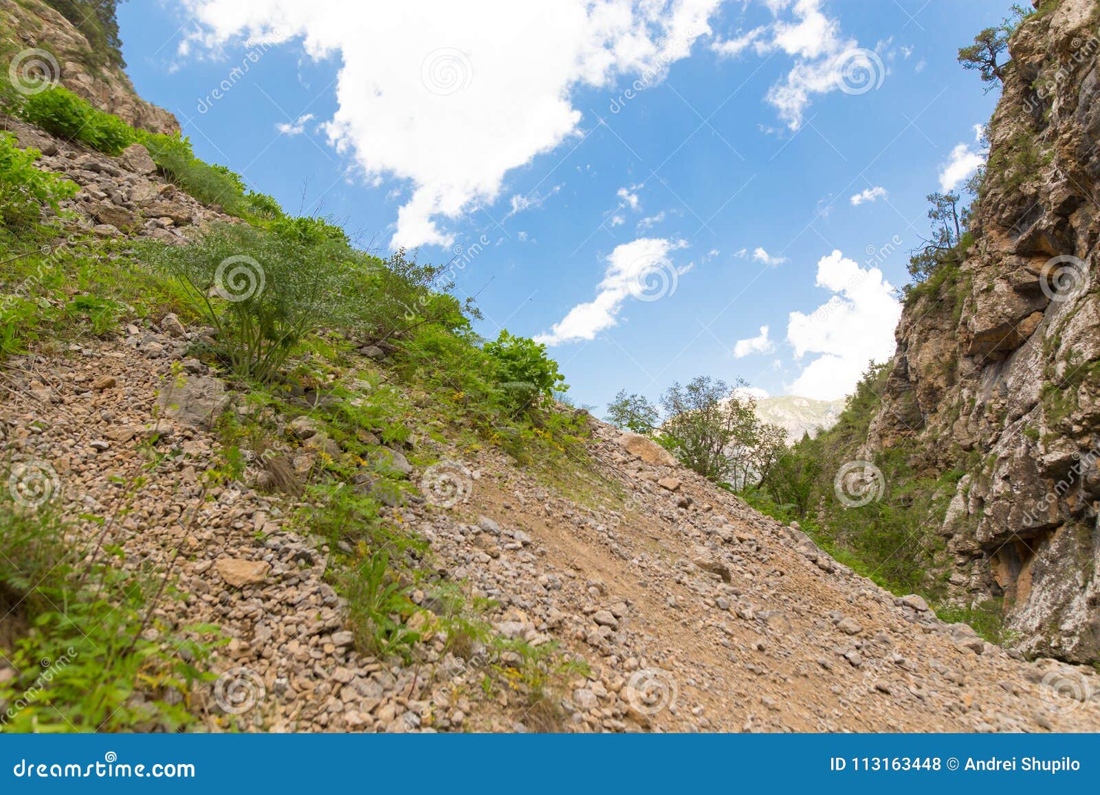 Beautiful Nature in the Himalayas in Spring Stock Photo - Image of ...