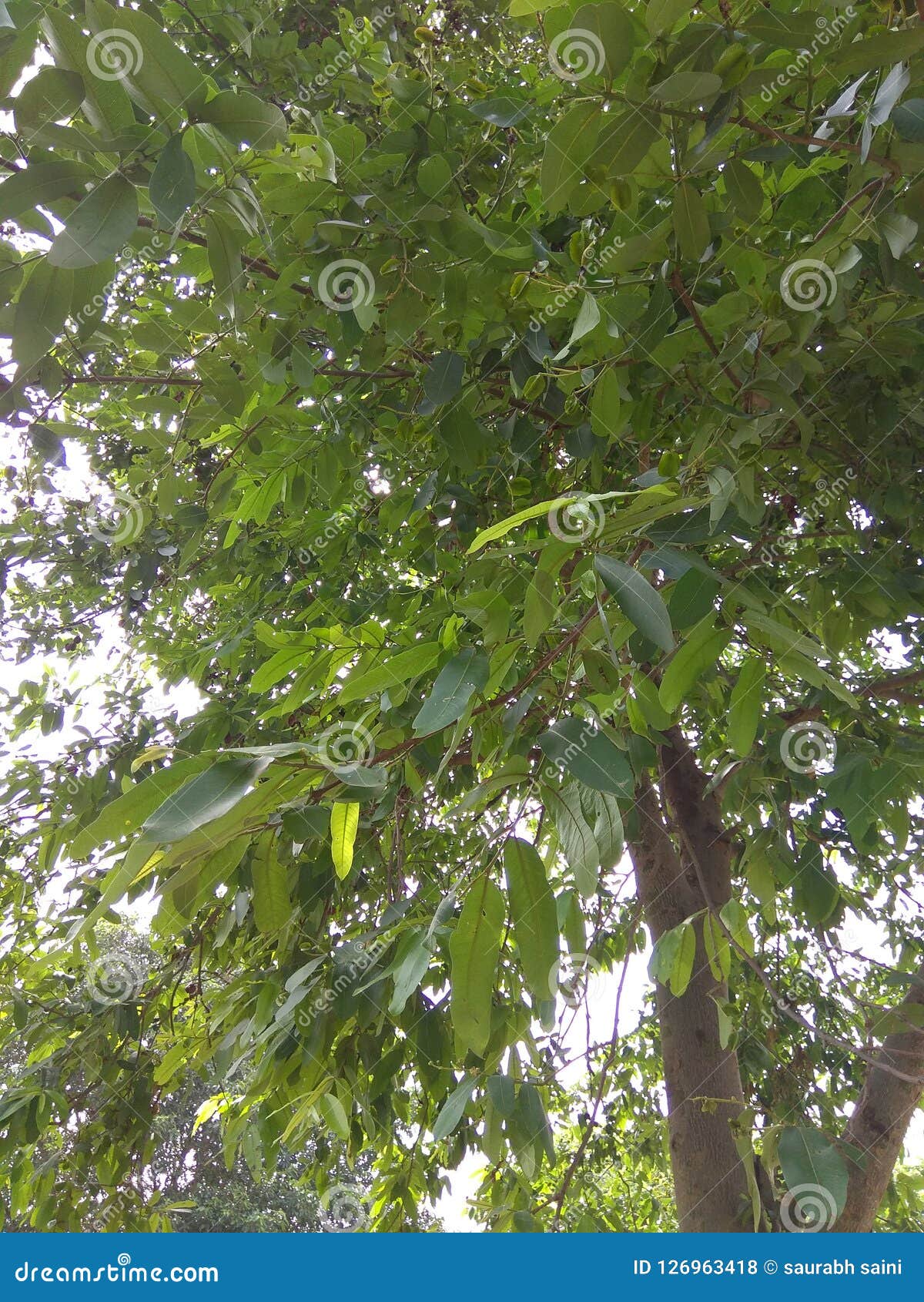 So beautiful Nature images stock photo. Image of nature - 126963418