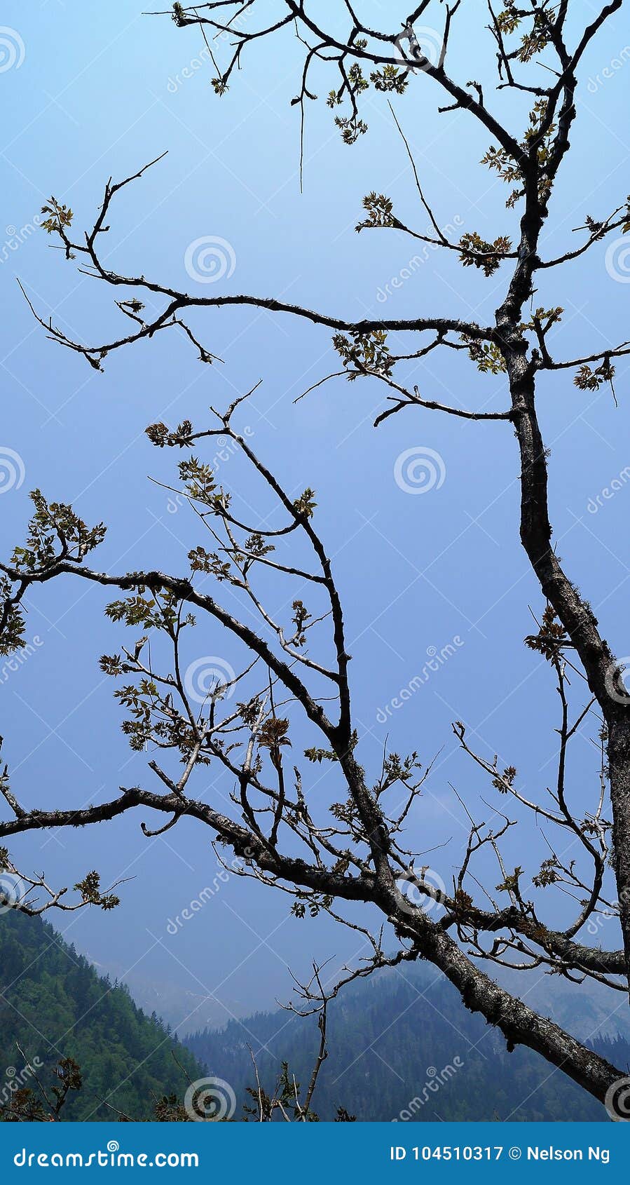 Beautiful Nature Landscape in China Stock Image - Image of jiuzhaigou ...