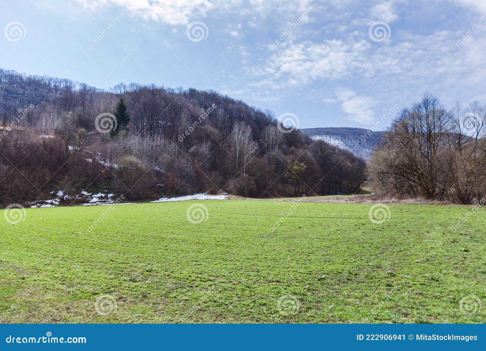Beautiful Nature Landscape. Early Spring Daylight Stock Image - Image ...