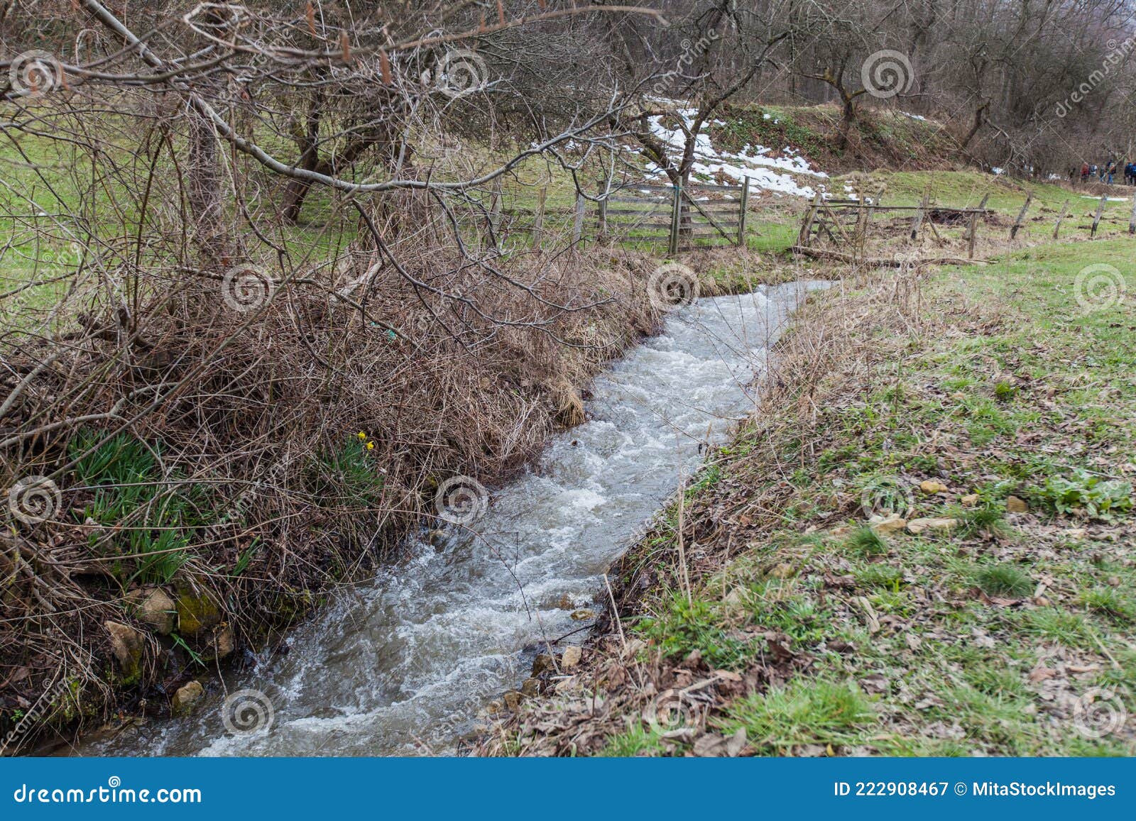 Beautiful Nature Landscape. Early Spring Daylight Stock Image - Image ...