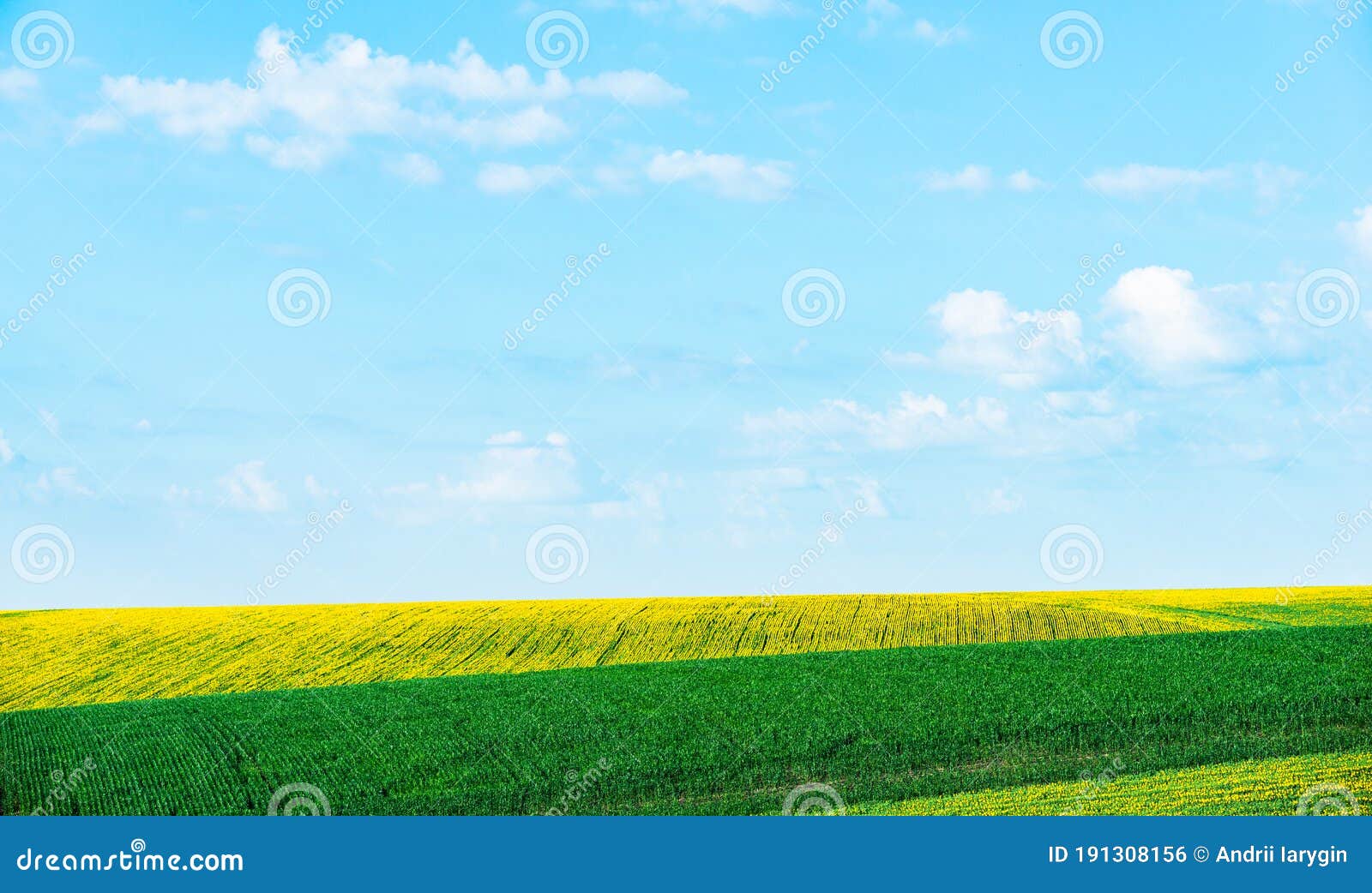 Beautiful Nature Landscape, Fields are Multicolored Stock Photo - Image ...