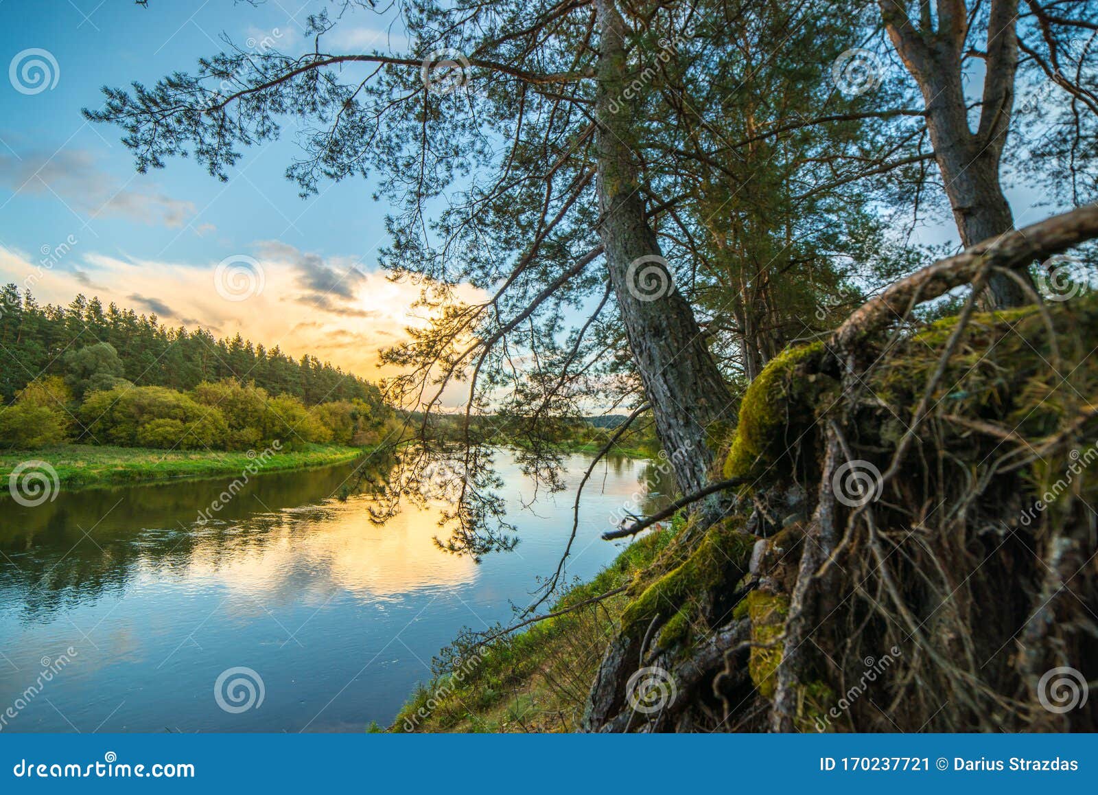 Nature River Landscape and Tree Roots Stock Image - Image of nature ...