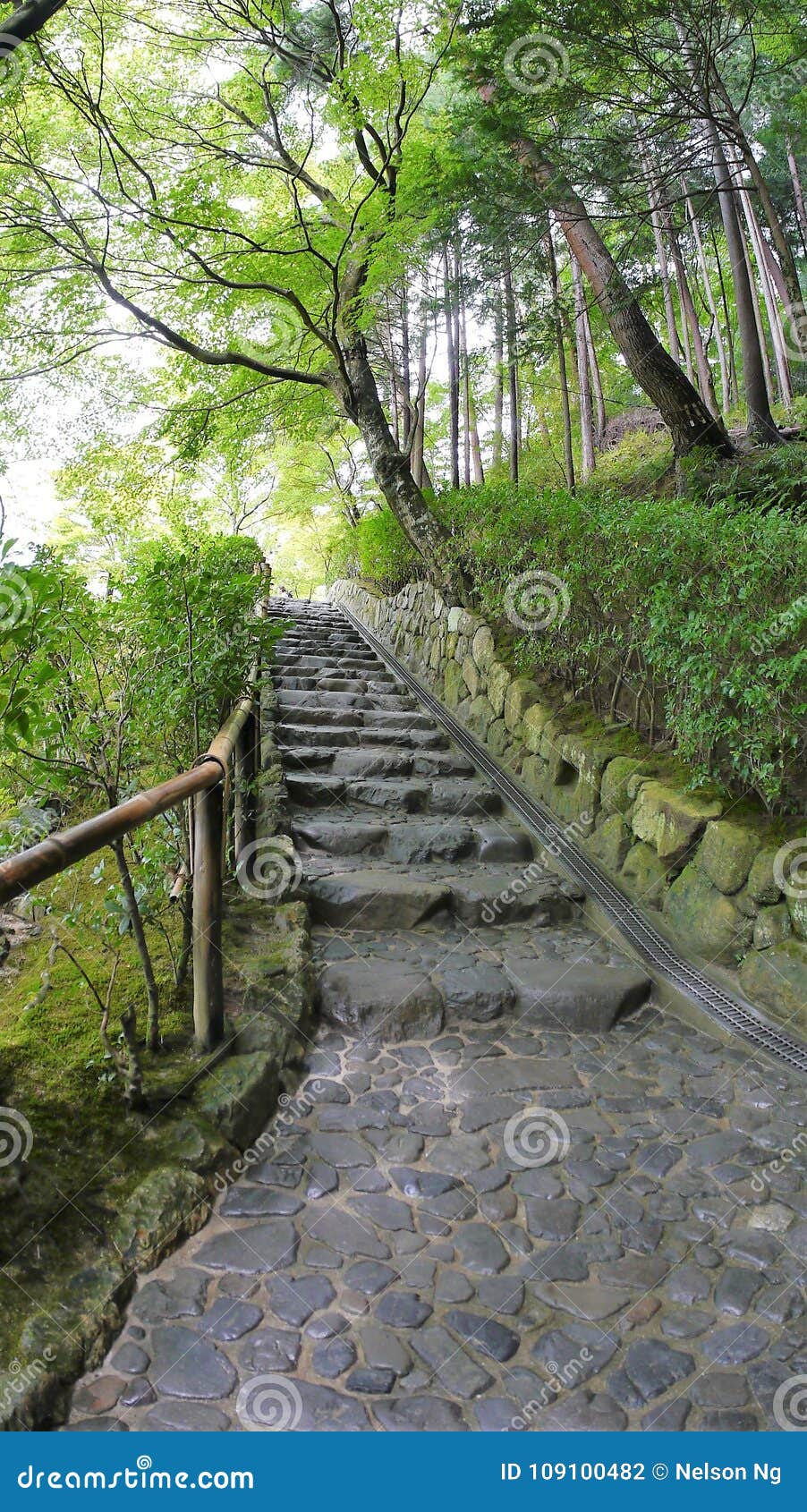 Beautiful Nature Landscape in Japan Stock Photo - Image of scenery ...