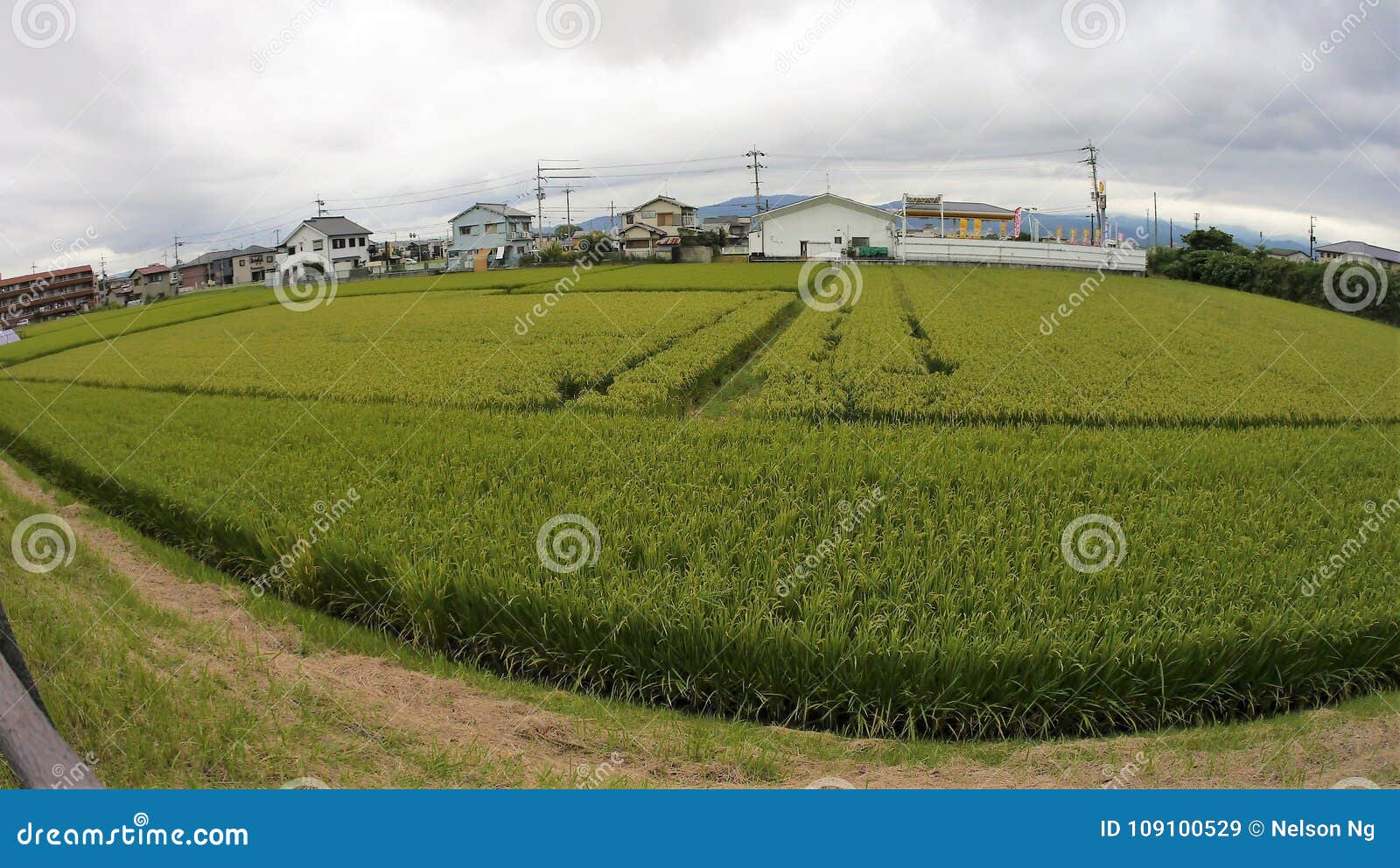 Beautiful Nature Landscape in Japan Stock Image - Image of tourism ...
