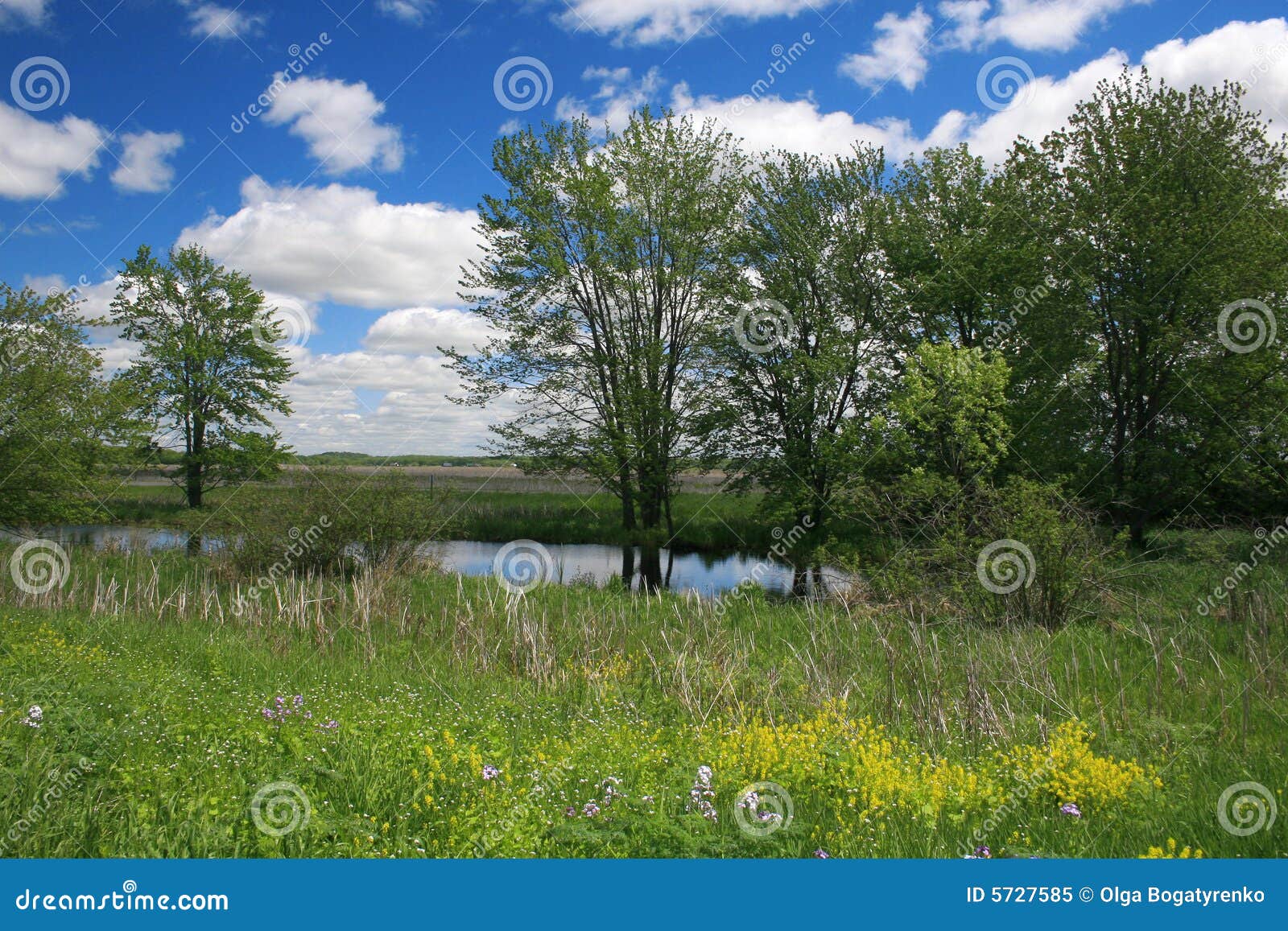 Beautiful Nature Landscape - Pond, Meadow, Trees Stock Image - Image of ...