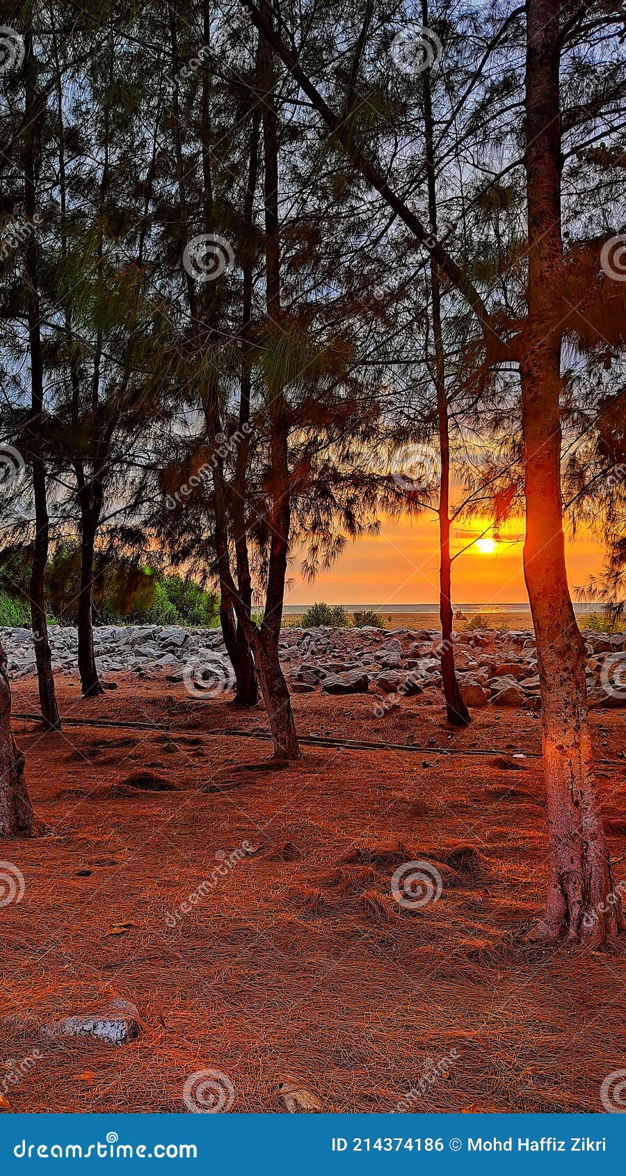 Beautiful Nature stock photo. Image of evening, reflection - 214374186