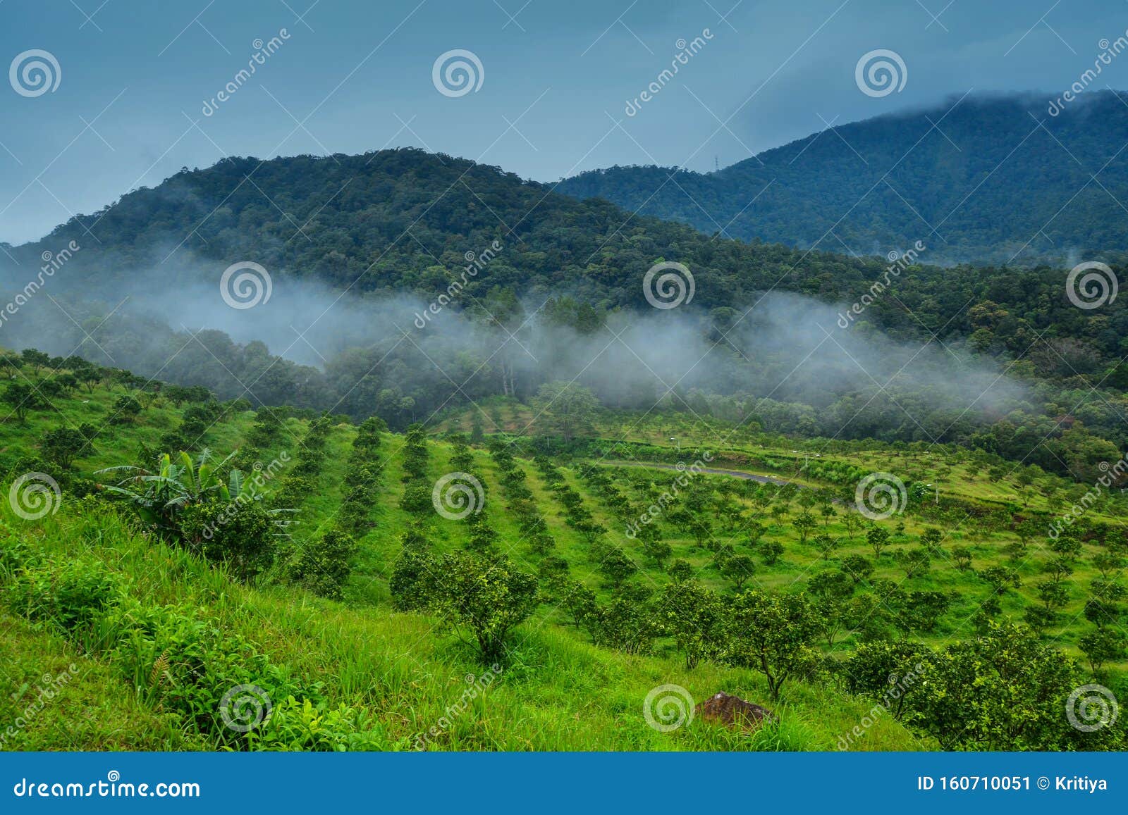 Beautiful nature in Medan stock image. Image of outdoor - 160710051