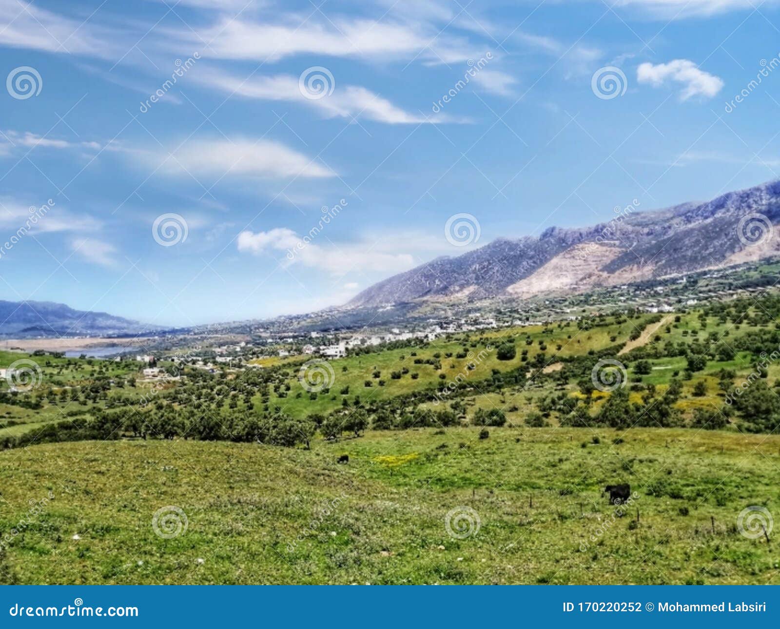 Beautiful Nature of Morocco Stock Photo - Image of holiday, tangier ...