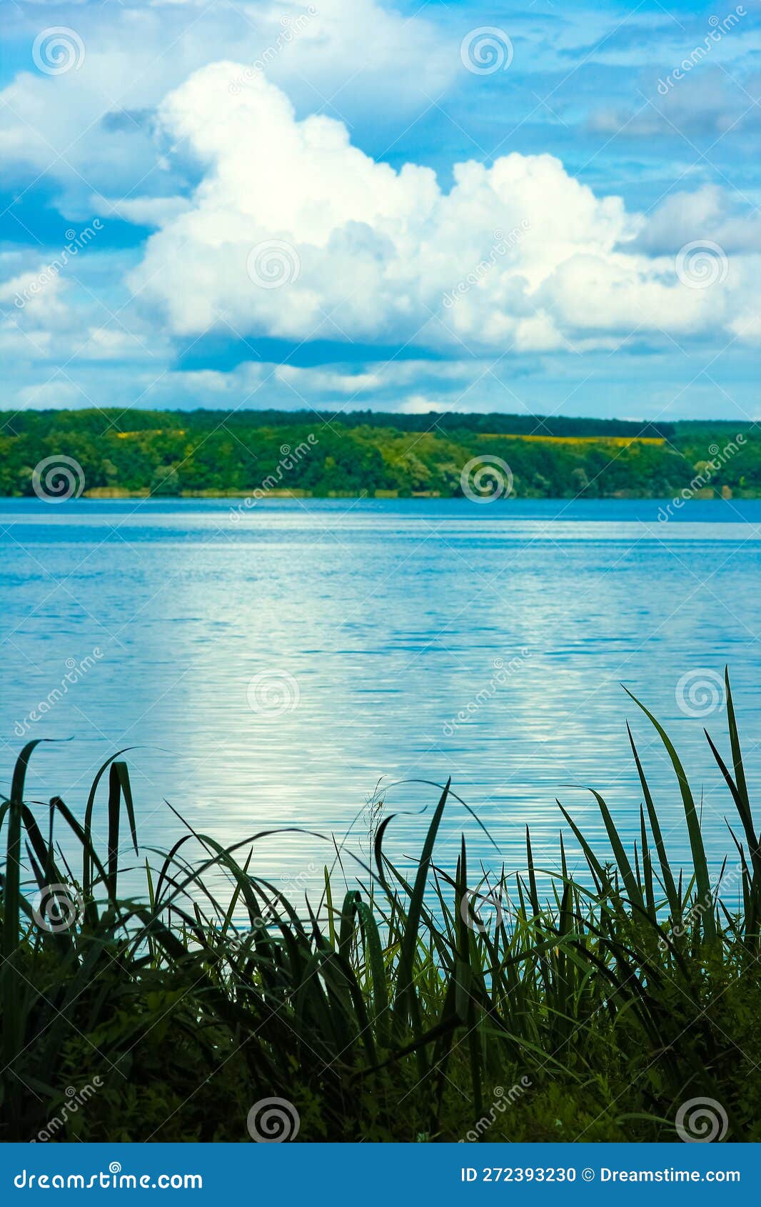 Beautiful Nature Near the River with Sky Background Stock Photo - Image ...
