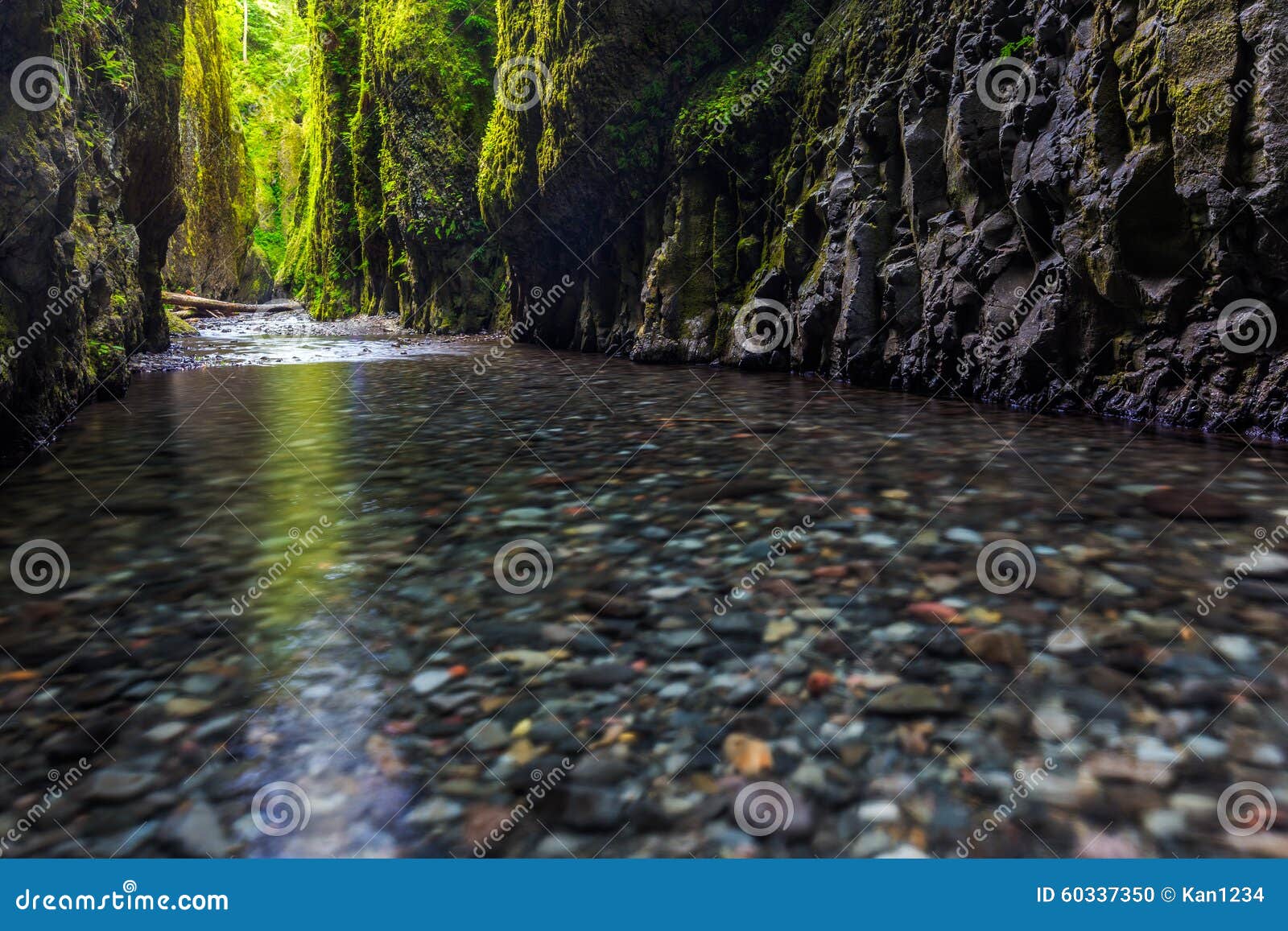 Beautiful Nature in Oneonta Gorge Trail, Oregon. Stock Photo - Image of ...